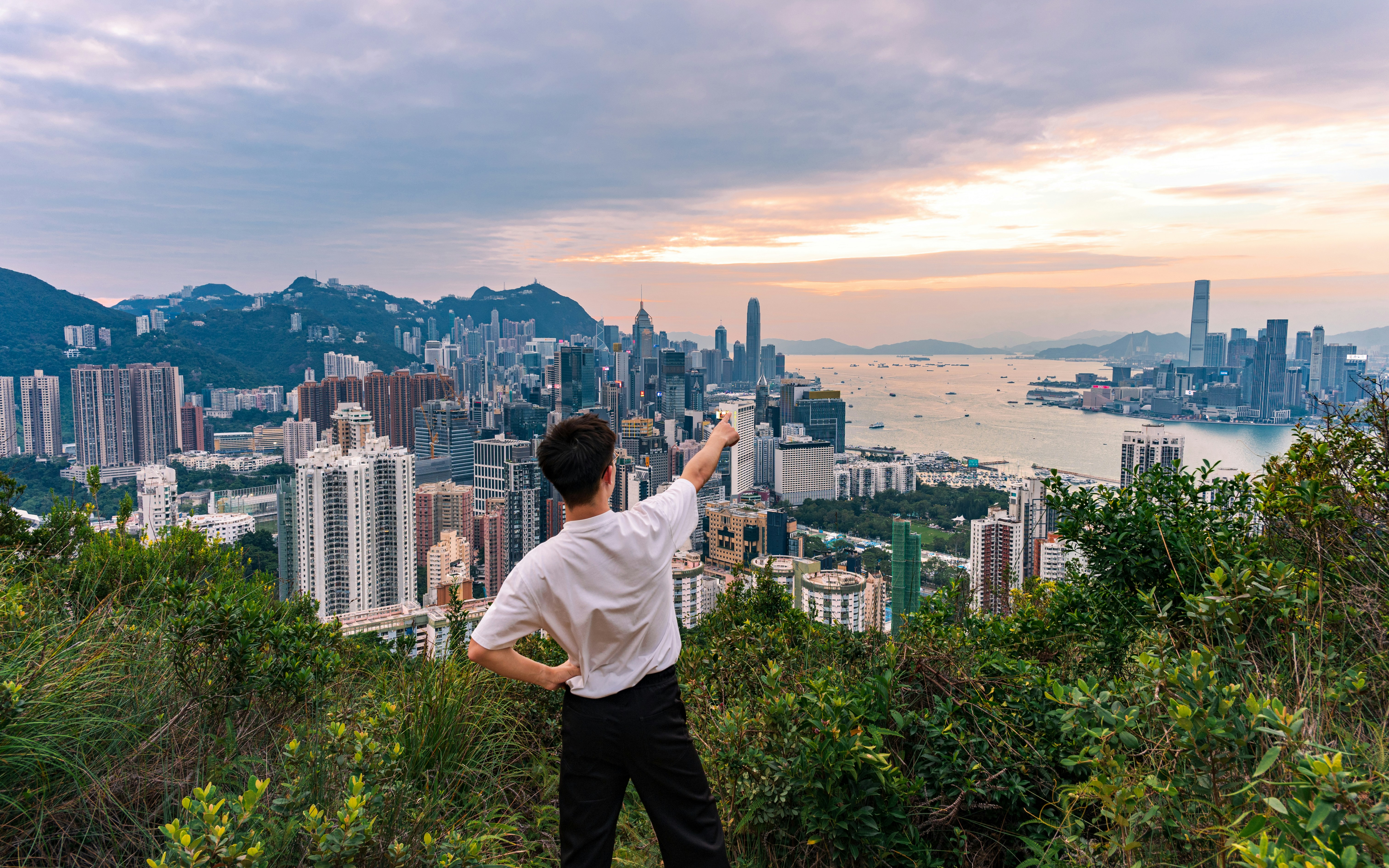Harbor Horizon: A Hilltop Gesture Toward the Dense Skyline