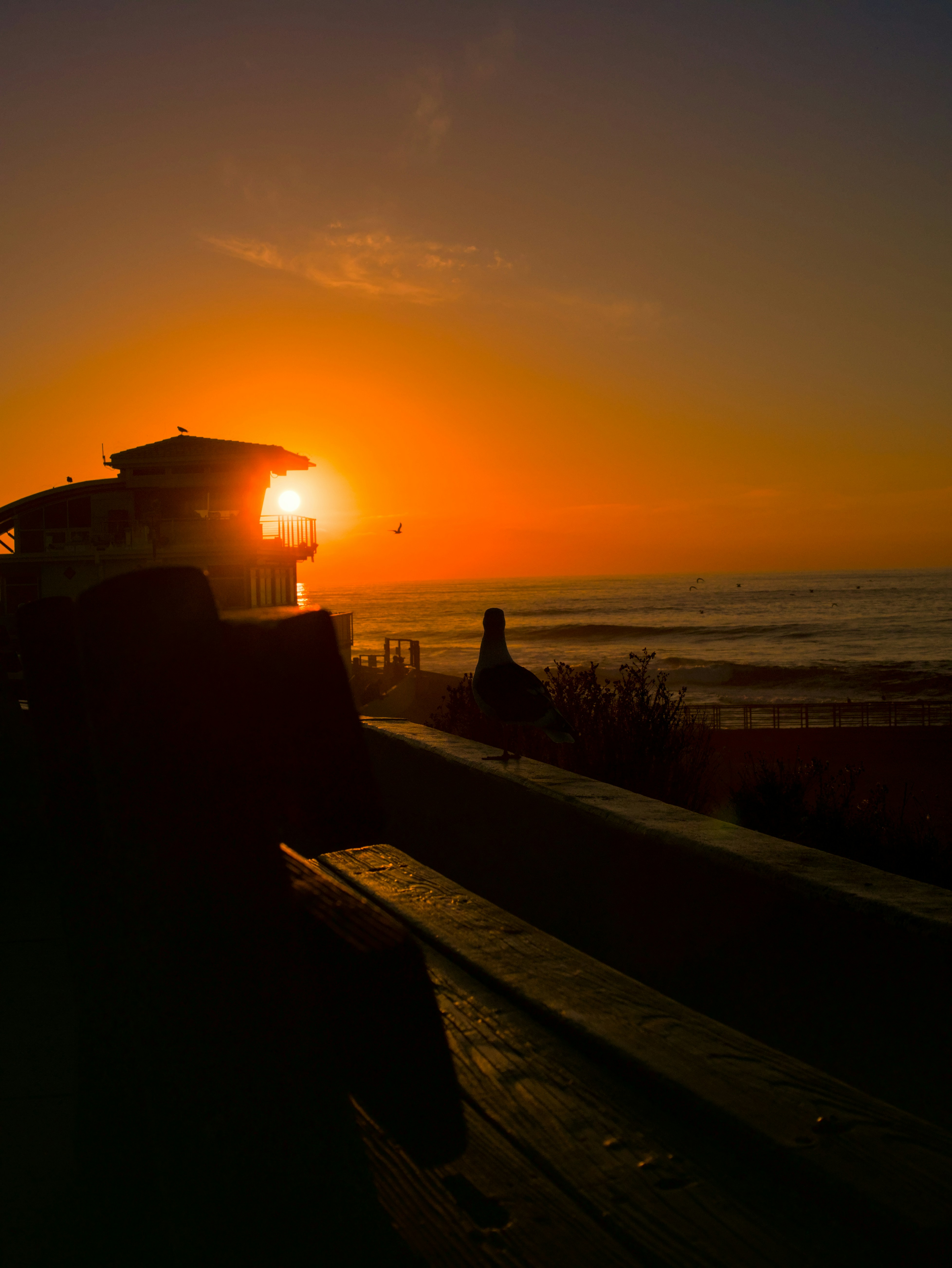 Pier Silhouette at Golden Hour: Sun on the Sea Horizon