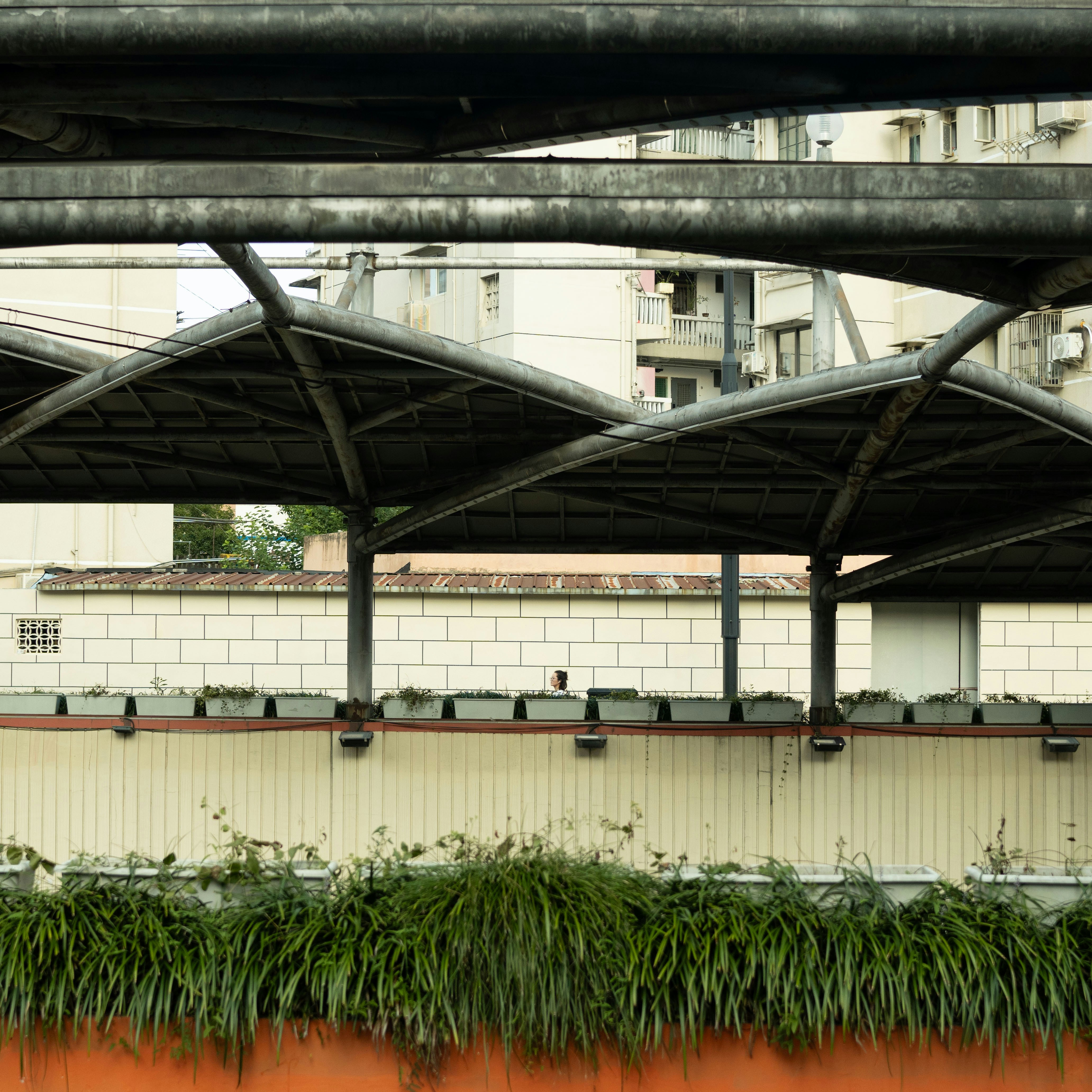 Urban Overpass: Nature Meets Architecture