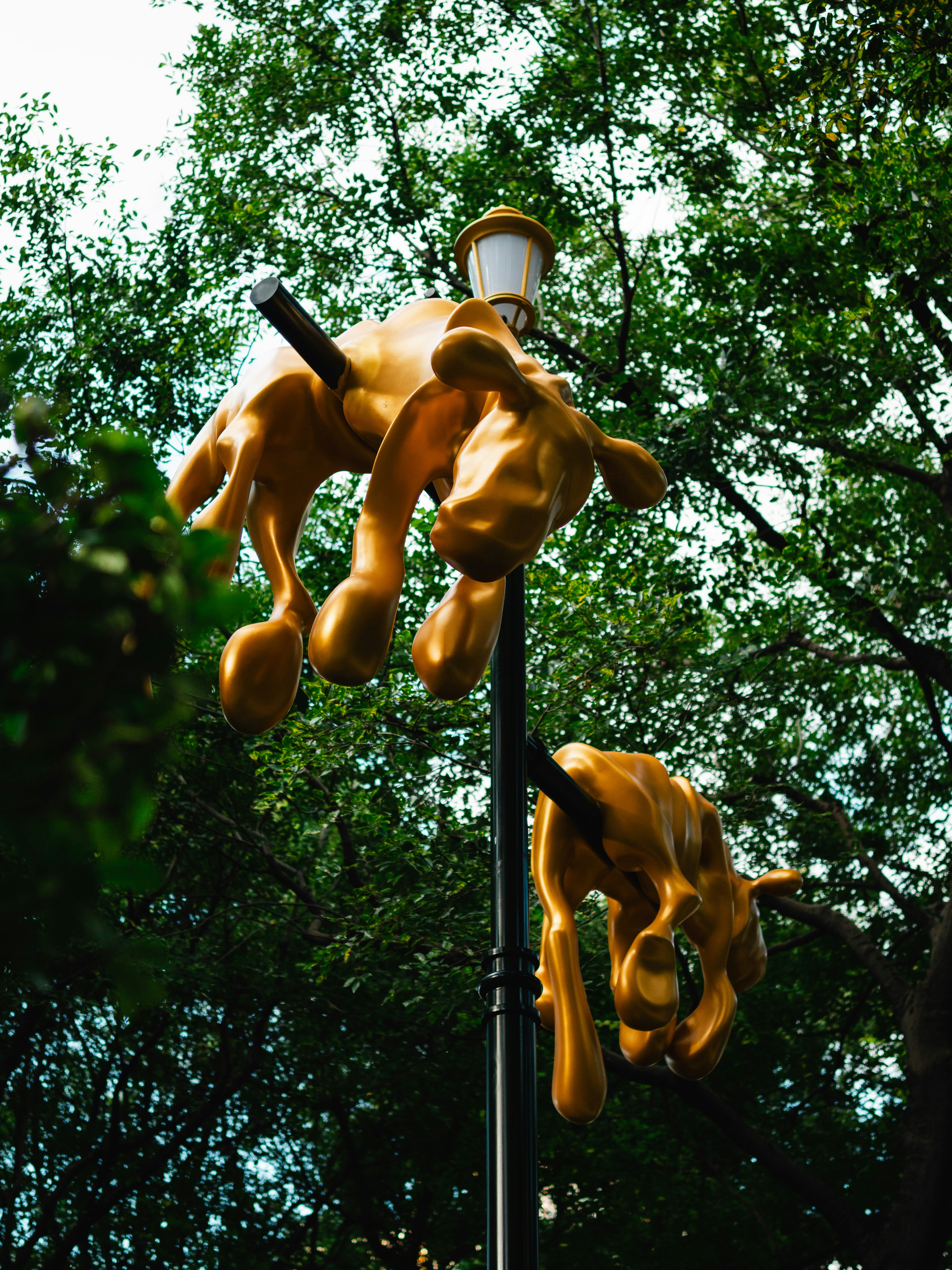 Dripping Orange Sculpture Clings to a Streetlamp Under a Canopy of Green
