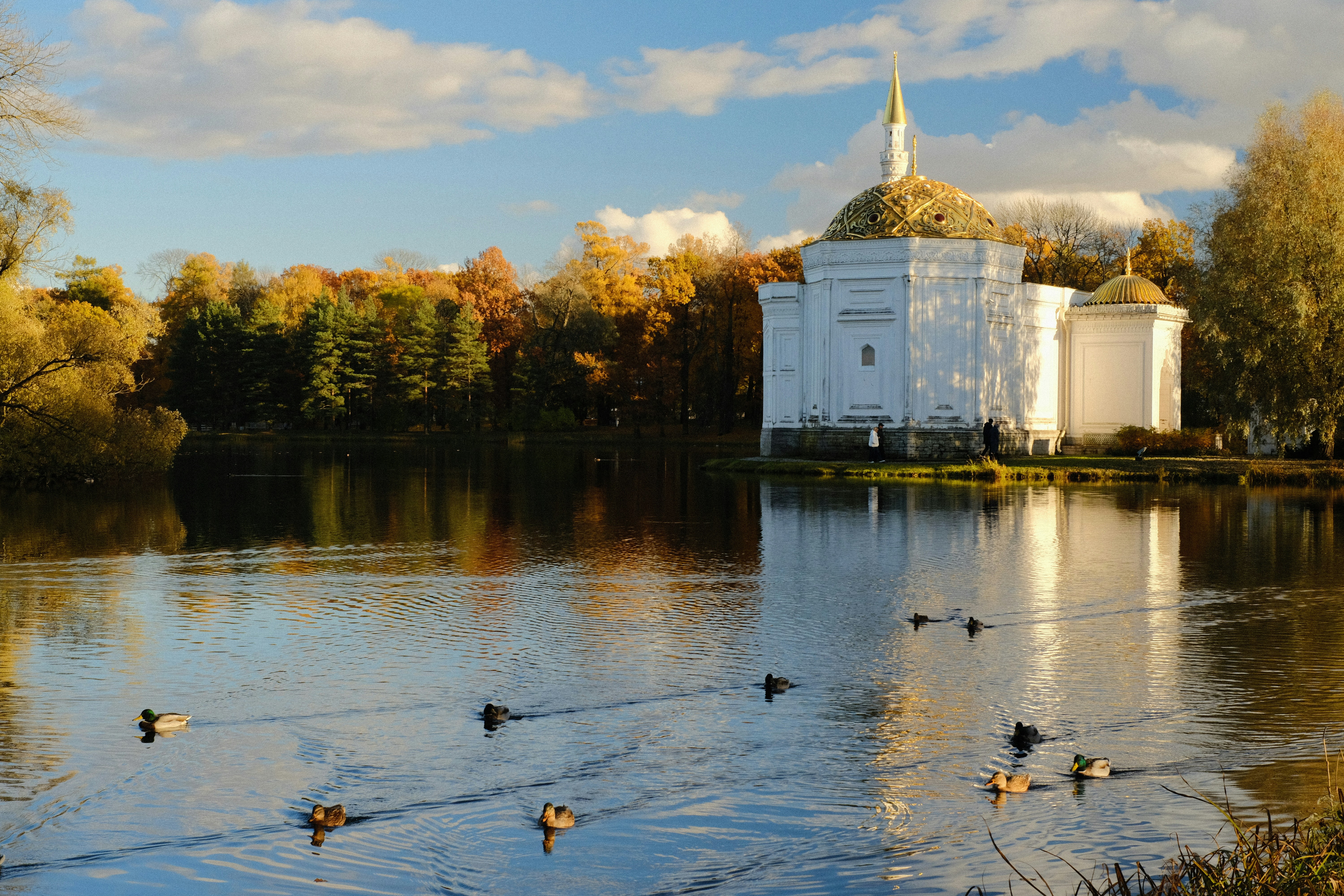 White Shrine by the Lake: Autumn Light, Reflections, and Ducks