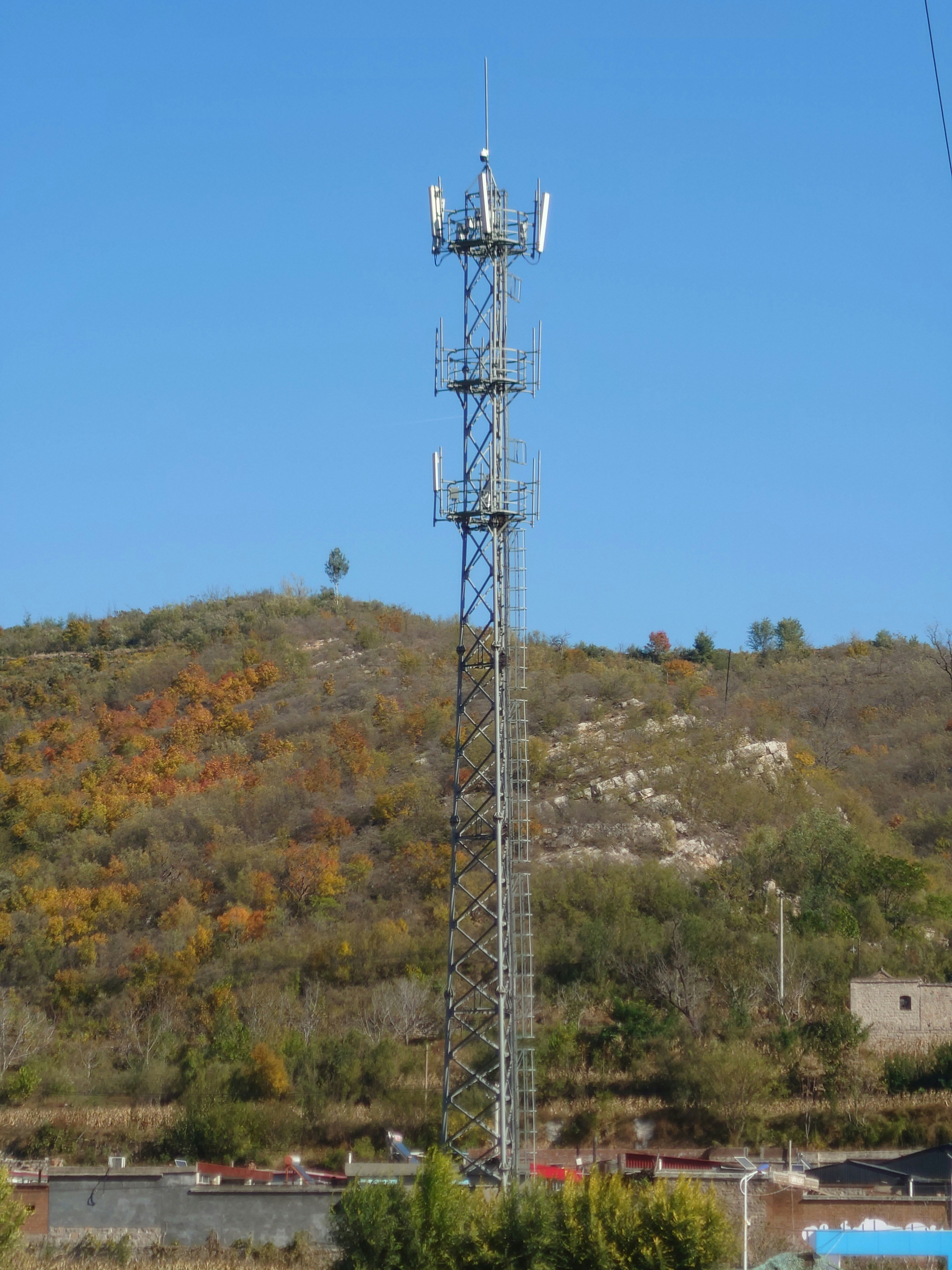 Cellular tower stands tall against a backdrop of autumn foliage on a hillside, showcasing the intersection of technology and nature.