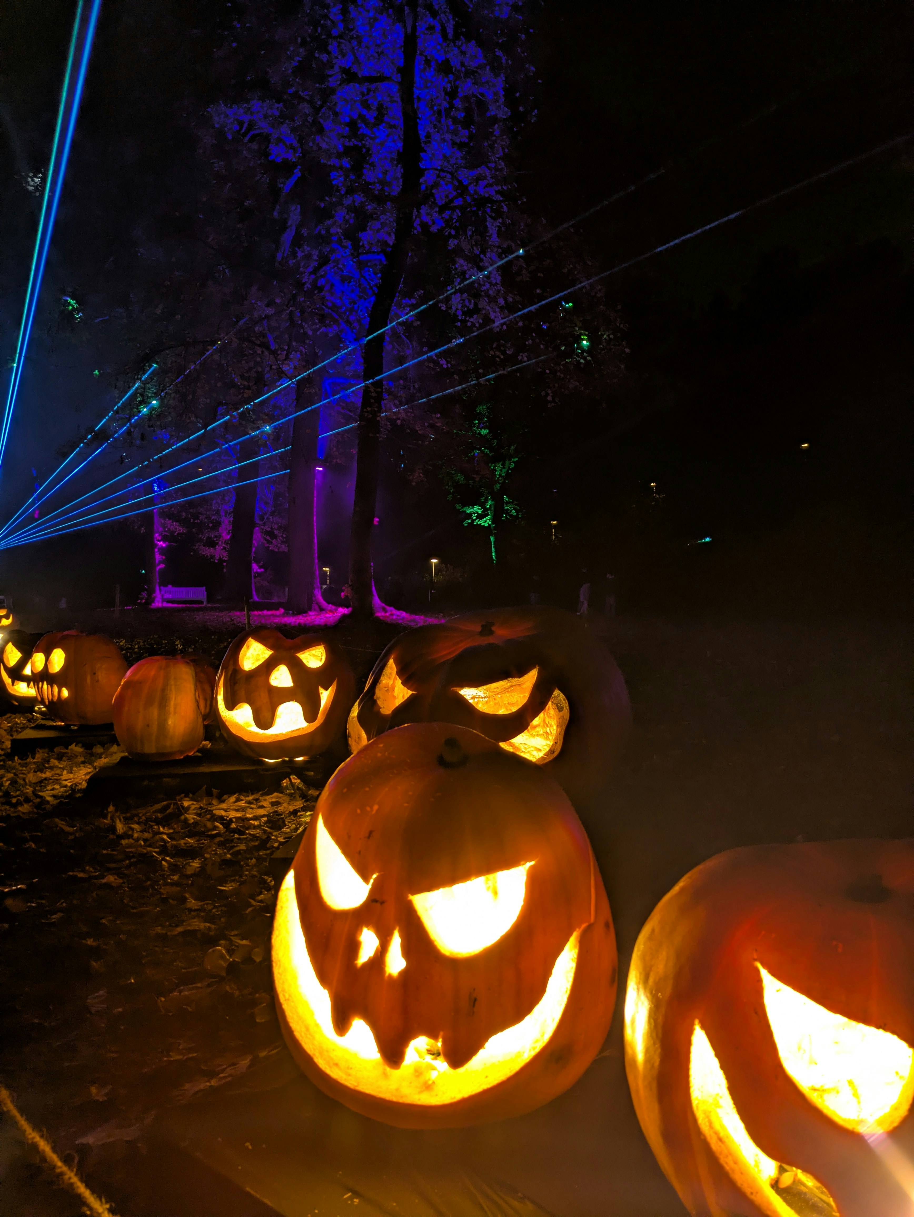 Carved pumpkins glow with spooky faces at night.