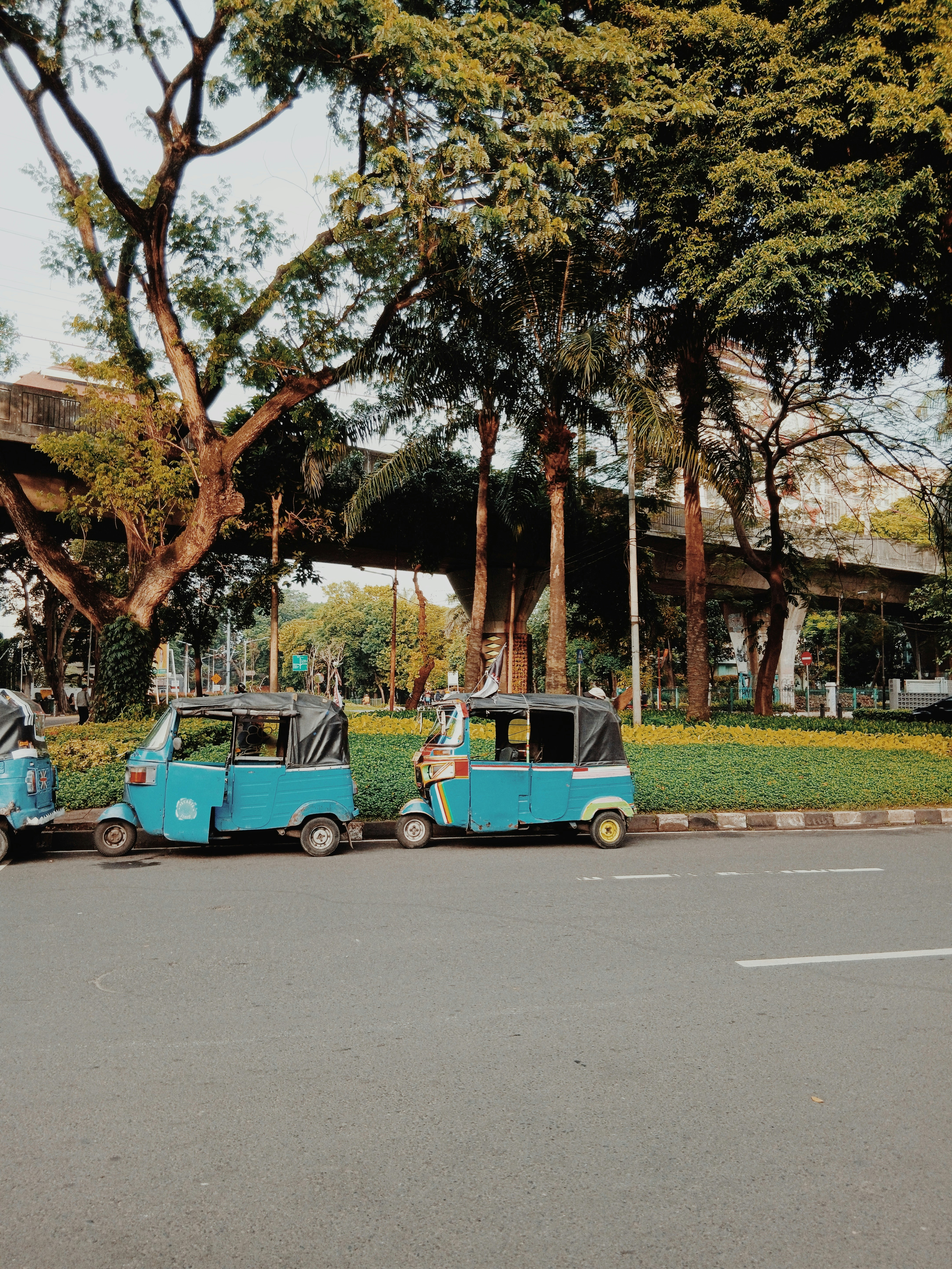 Two blue tuk-tuks parked along a tree-lined street.