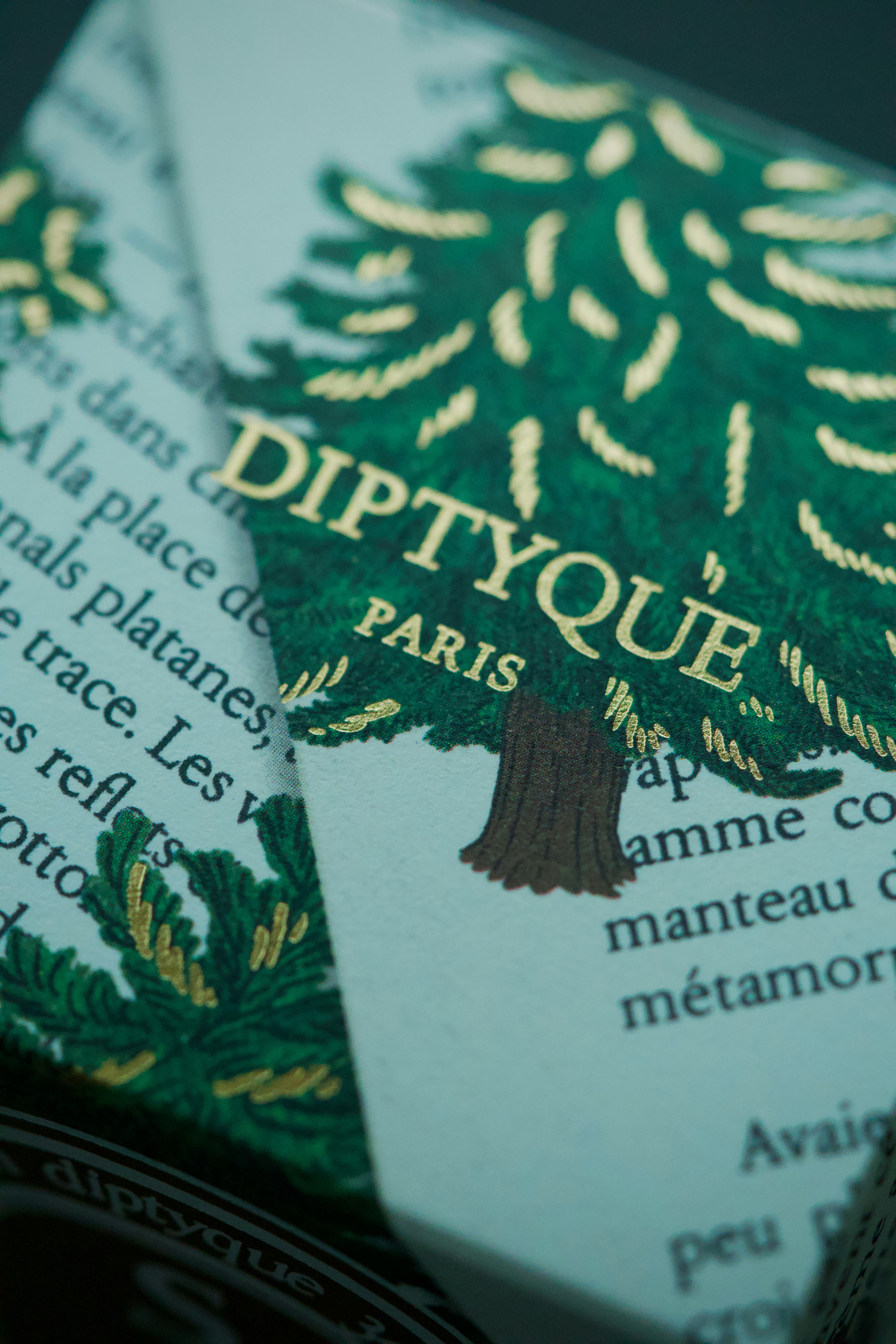 Teal Tree Emblem on a Diptyque Paris Box — Close-Up of Luxury Packaging