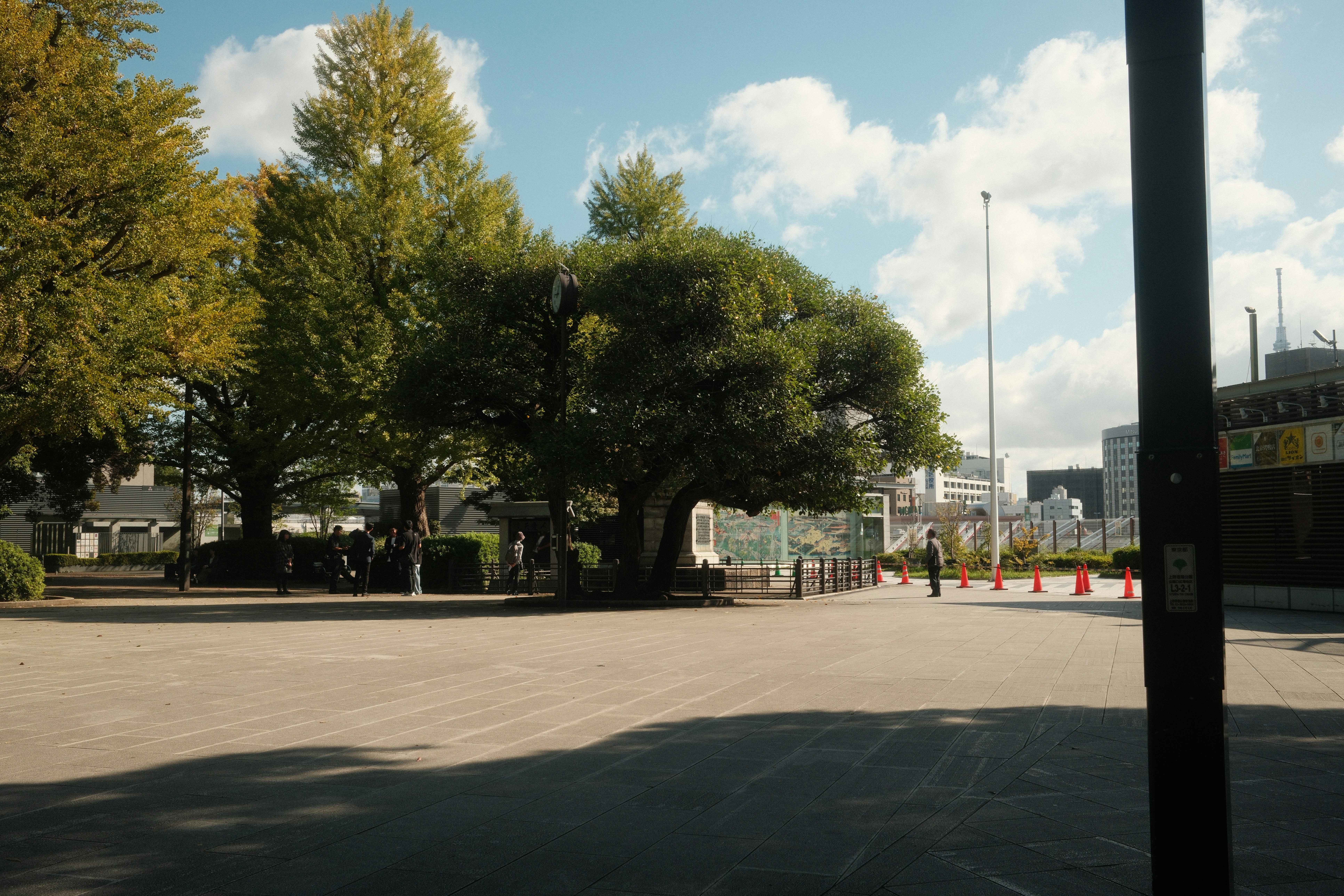 Lush green trees provide a tranquil backdrop in a bustling urban park, with people enjoying the space. The scene captures the harmony between nature and city life.