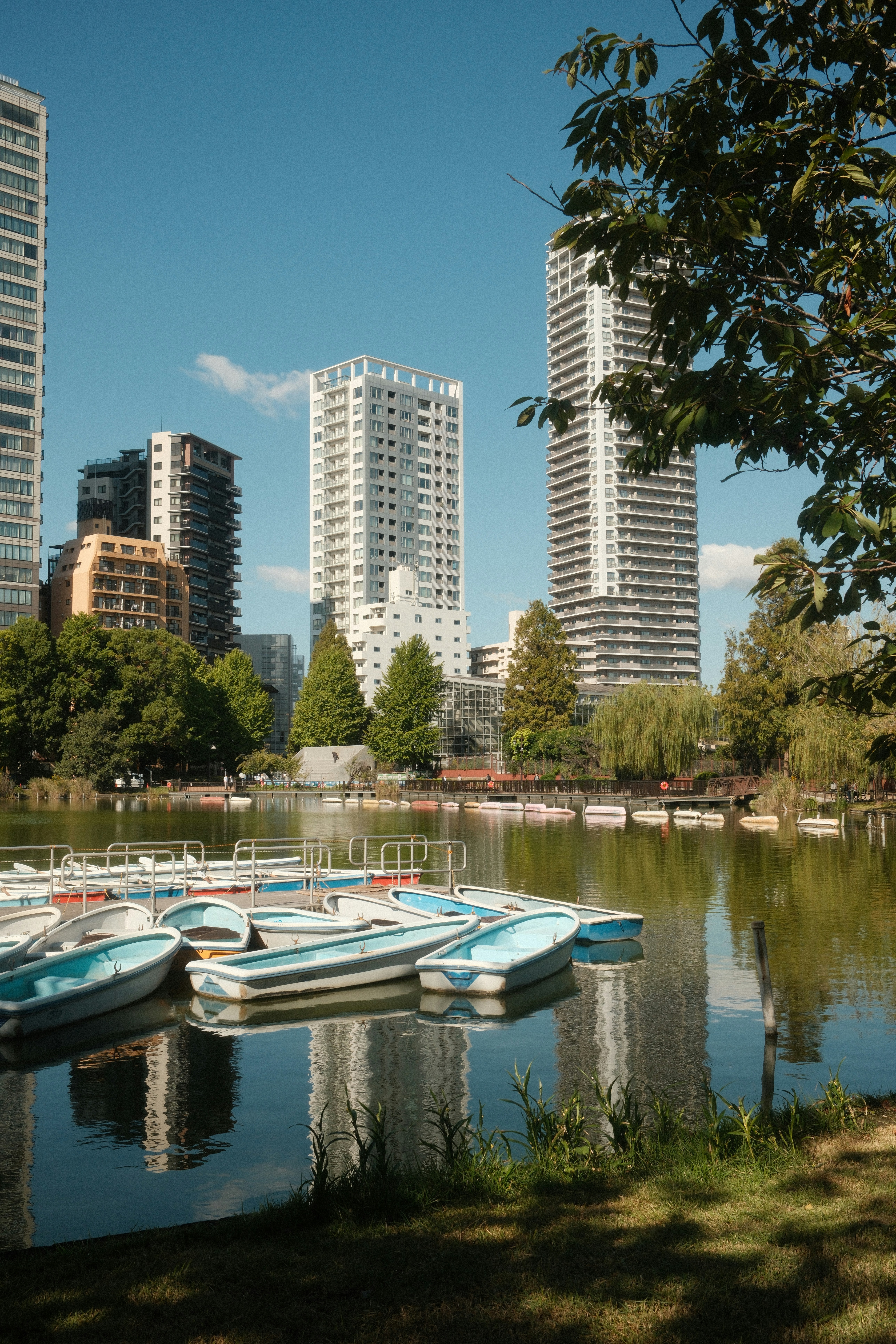 Quiet Boats and Sky-Scrapers: A Calm Lake in the City