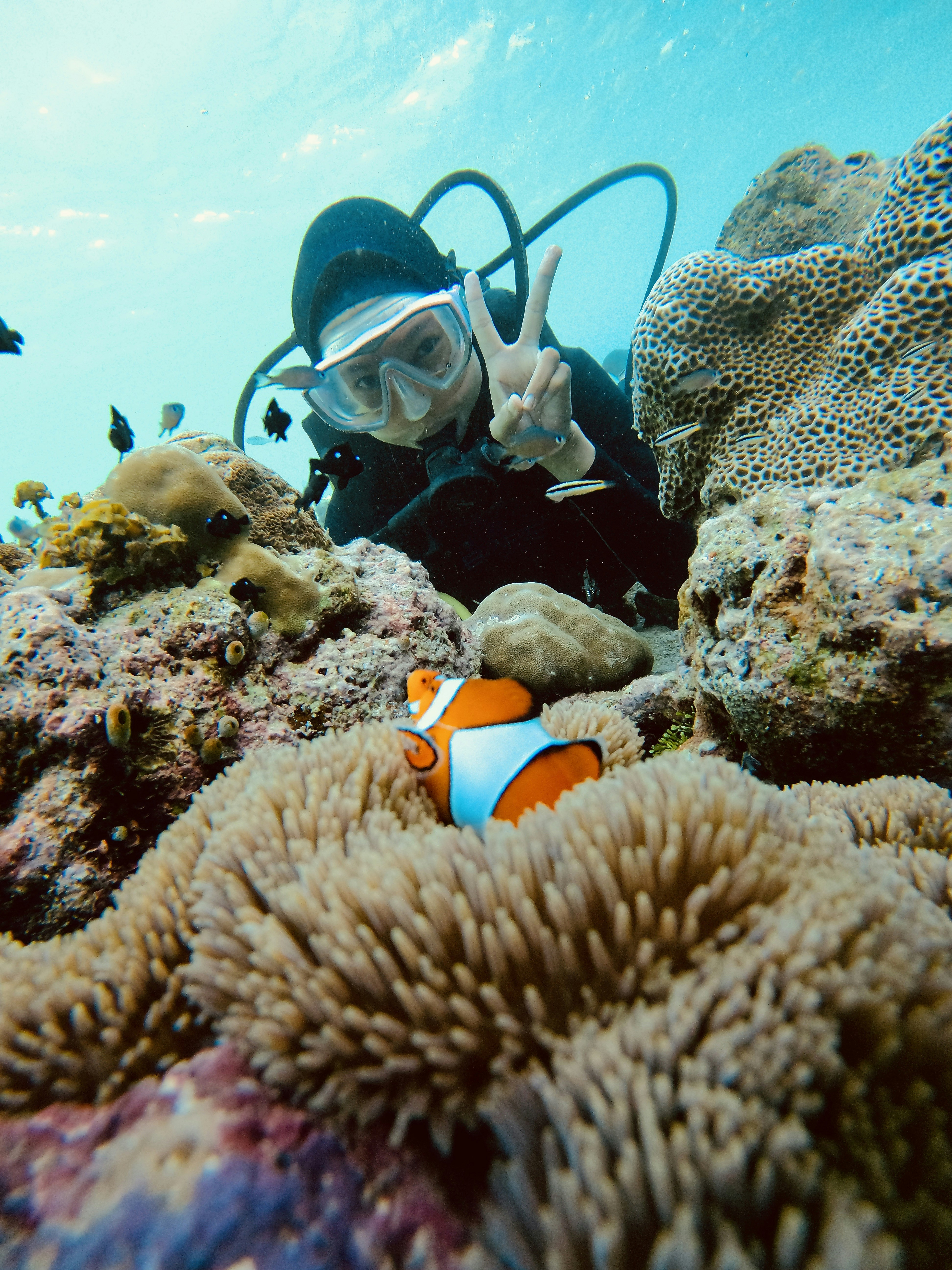 trying scuba diving for the first time | Scuba diver gives peace sign near clownfish and coral.