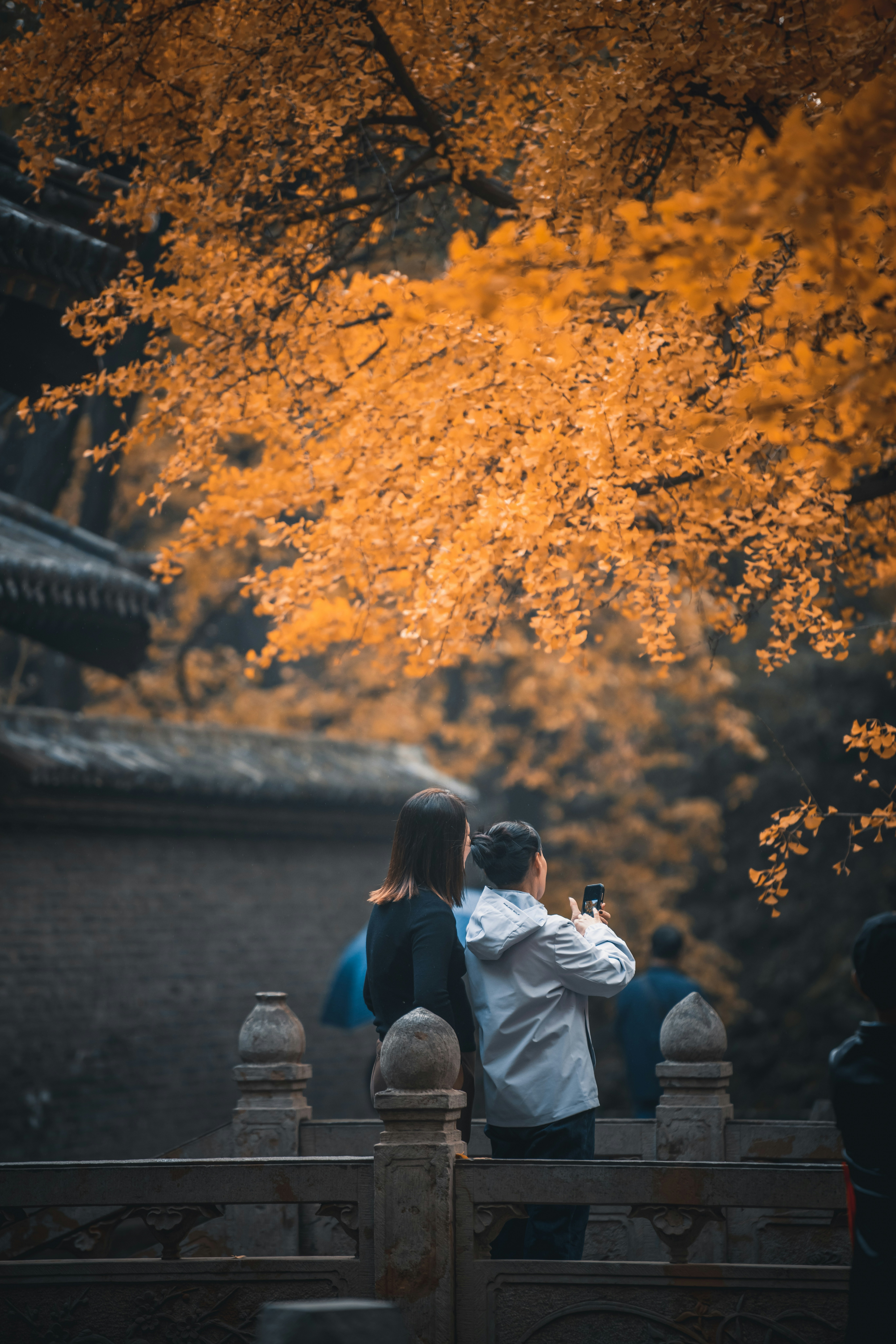 Autumn Amber Canopy Over a Temple Bridge: A Quiet Moment of Shared Capture
