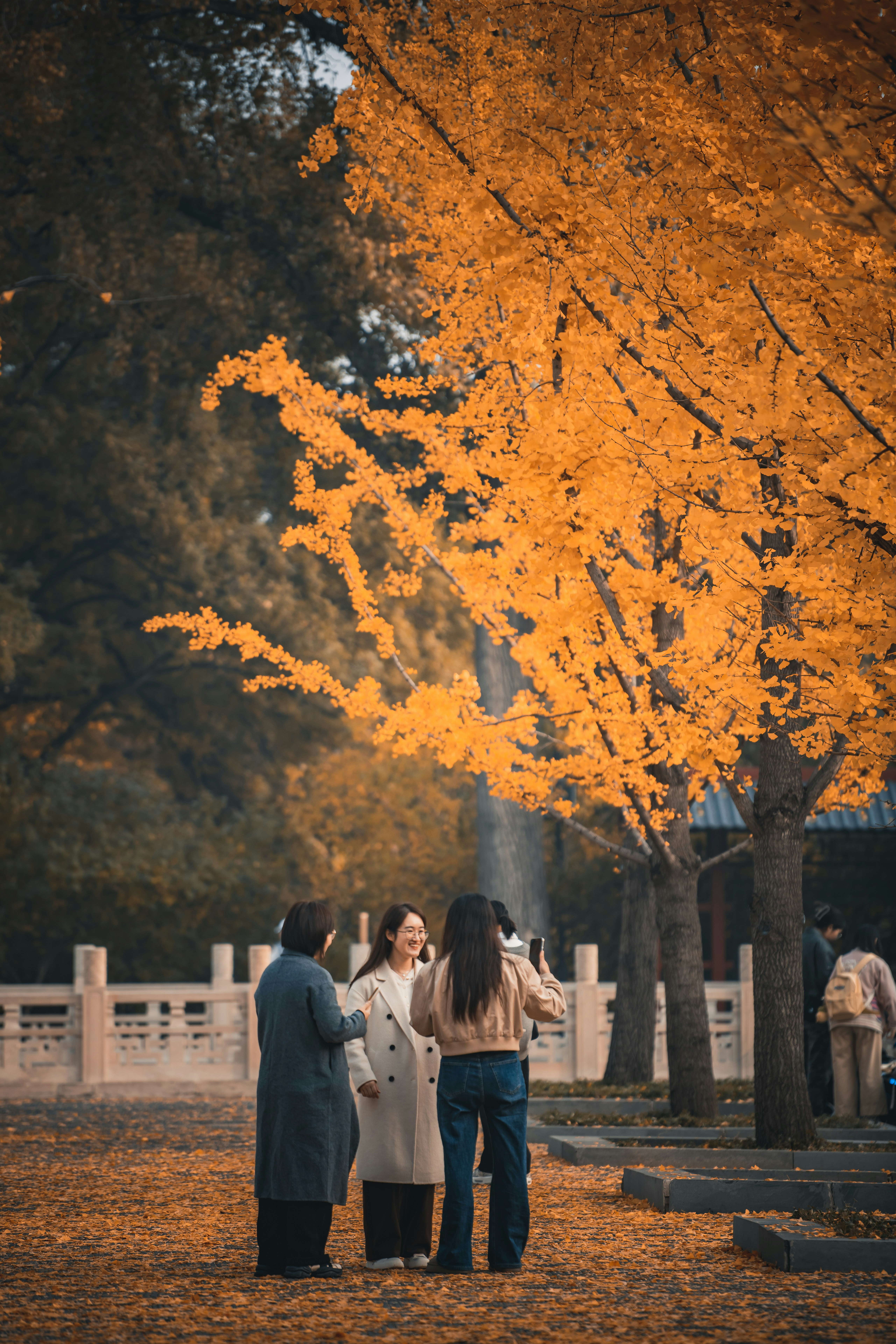 Autumn Glow at the Railing: Friends Beneath a Golden Canopy