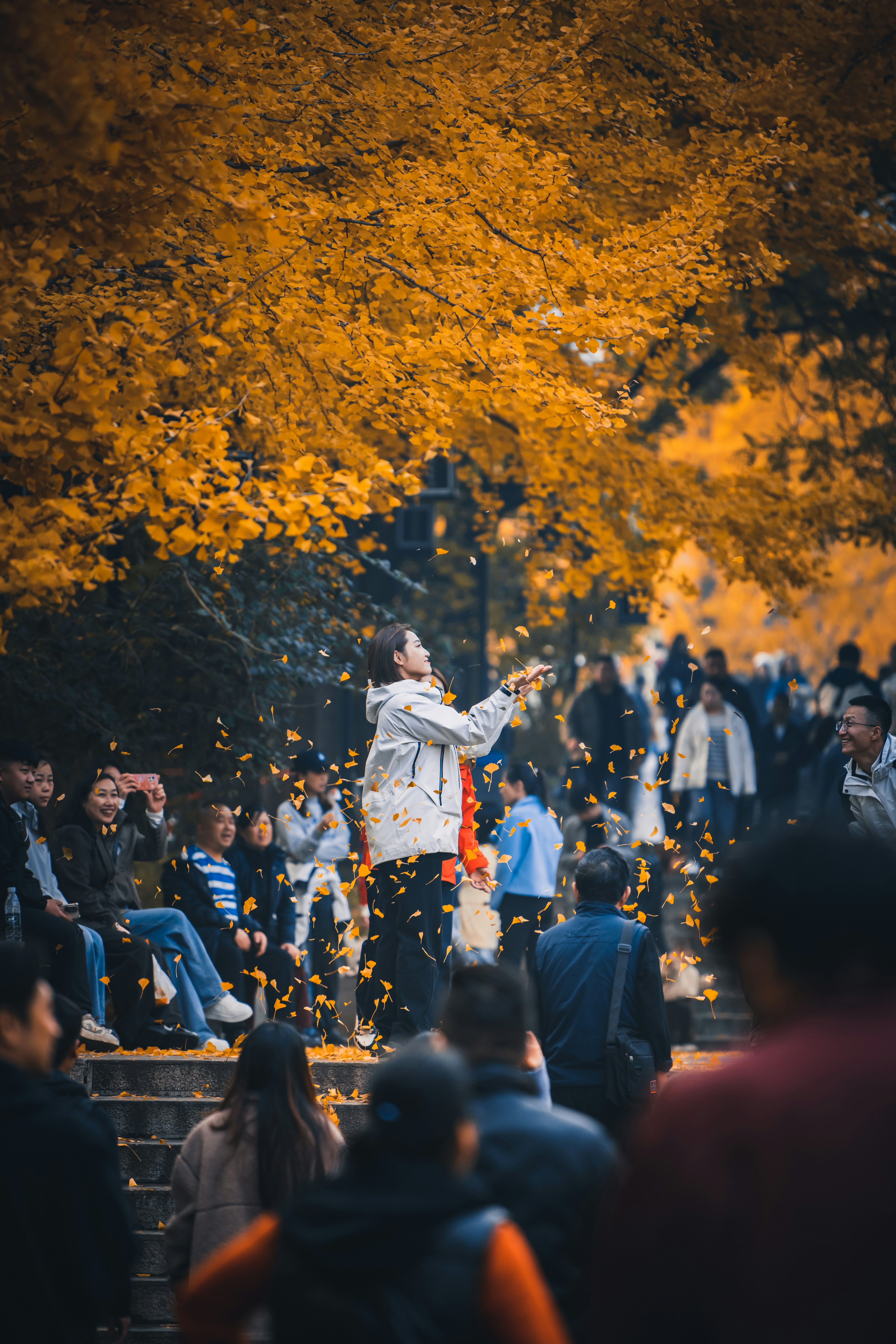 Whispers of Autumn: A Dance Among the Leaves