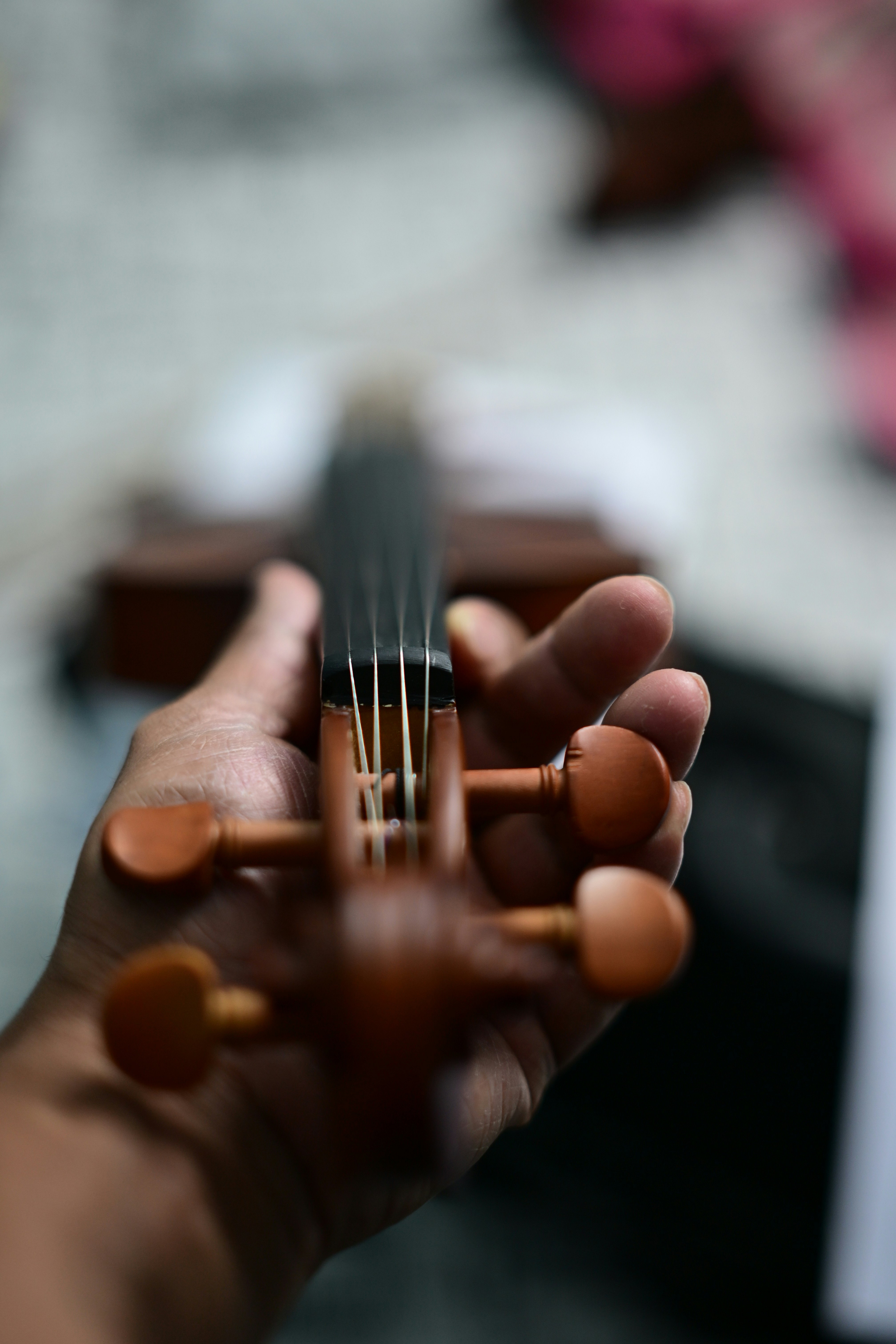 Strings of Emotion: A Violinist's Touch