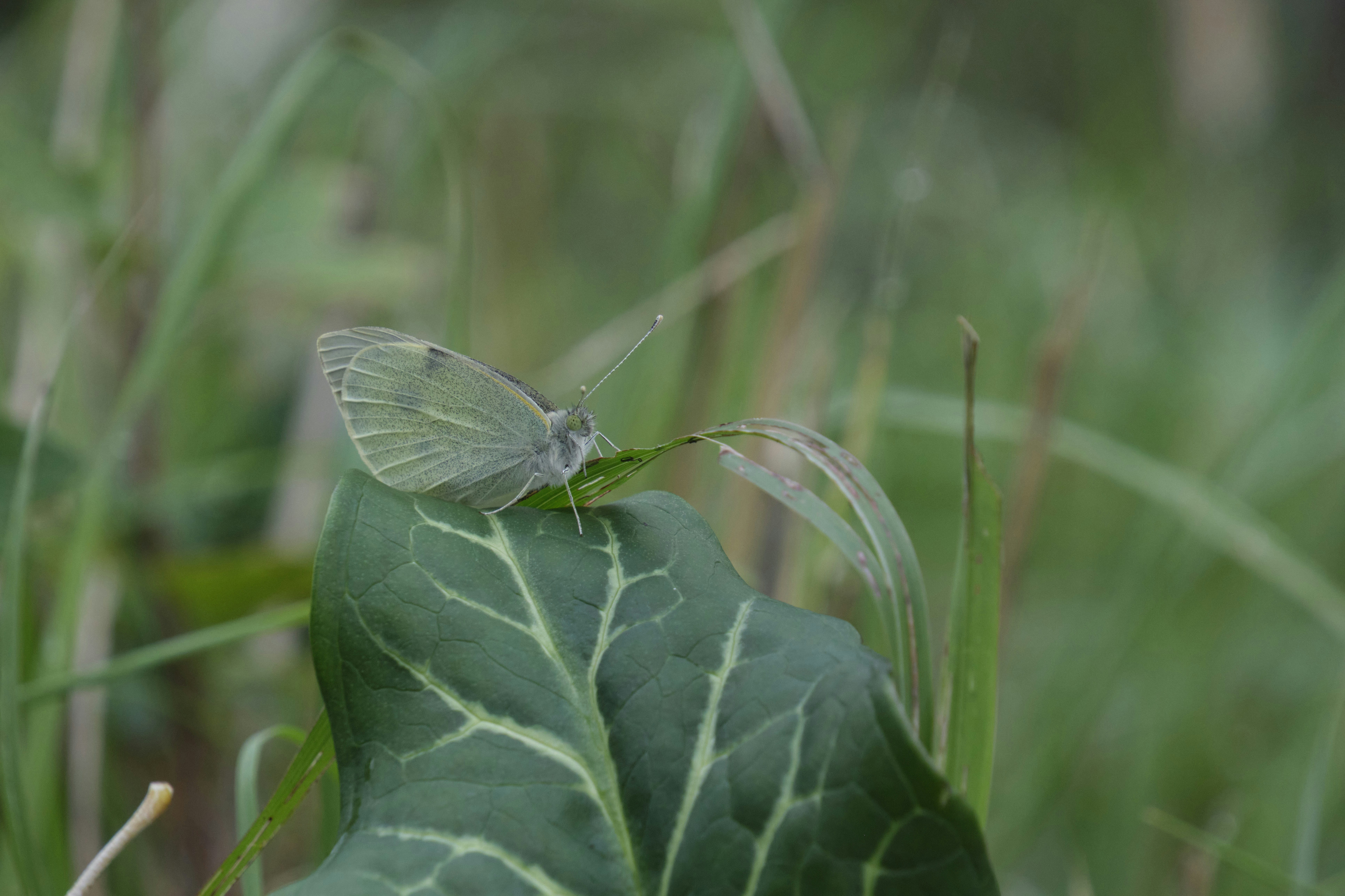 Photo by christian romei with Fujifilm X-T5
