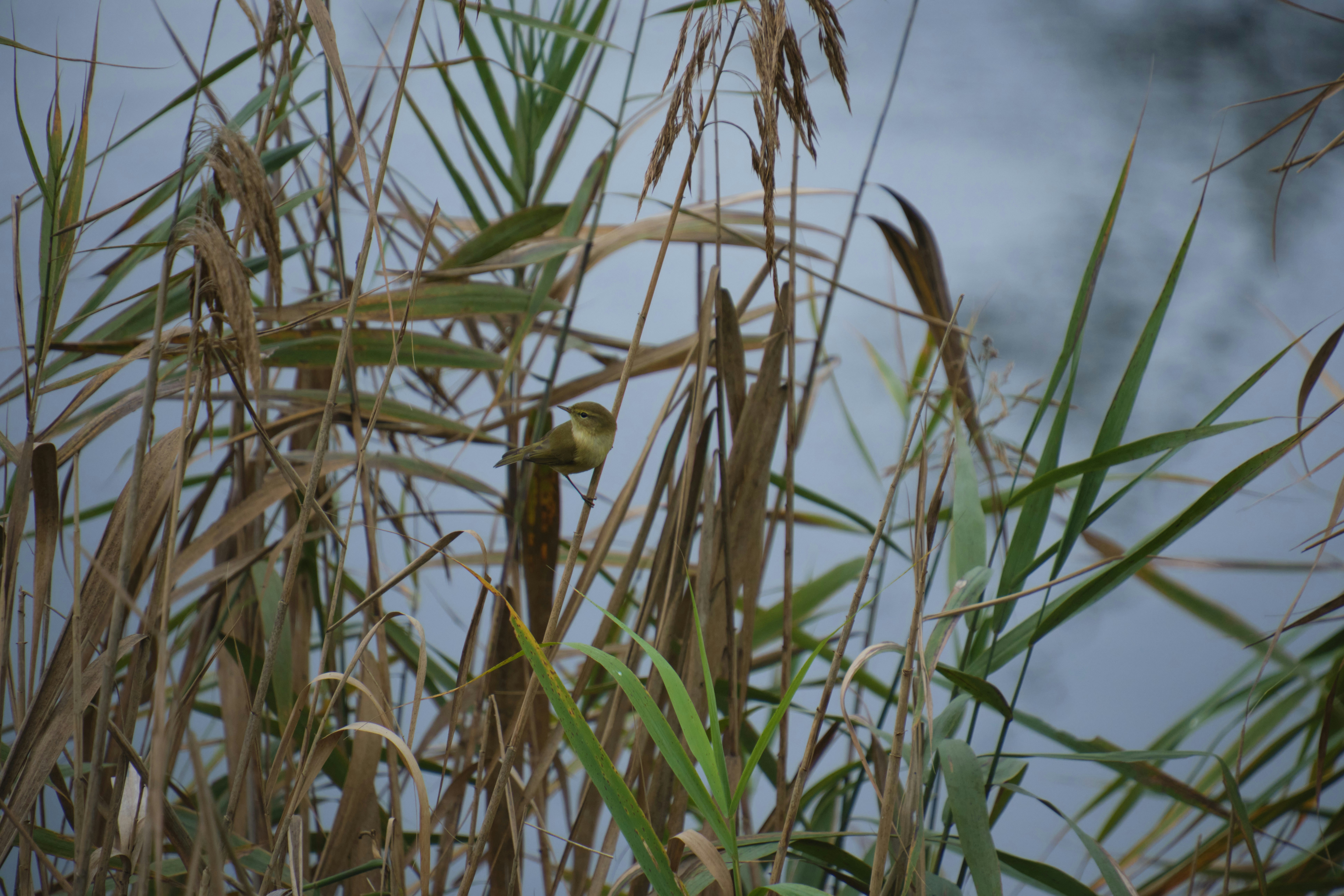 Photo by christian romei with Fujifilm X-T5