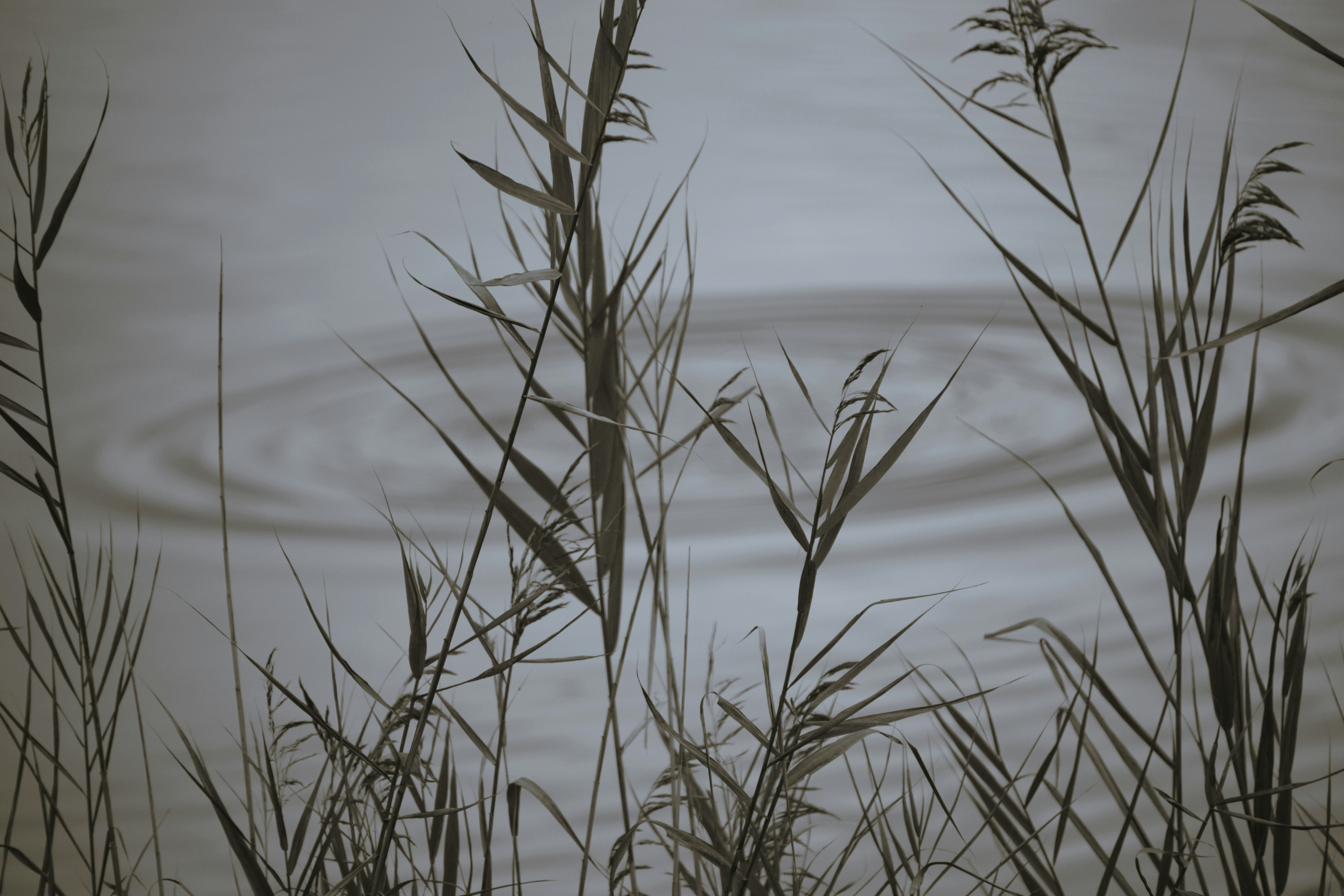 Photo by christian romei with Fujifilm X-T5