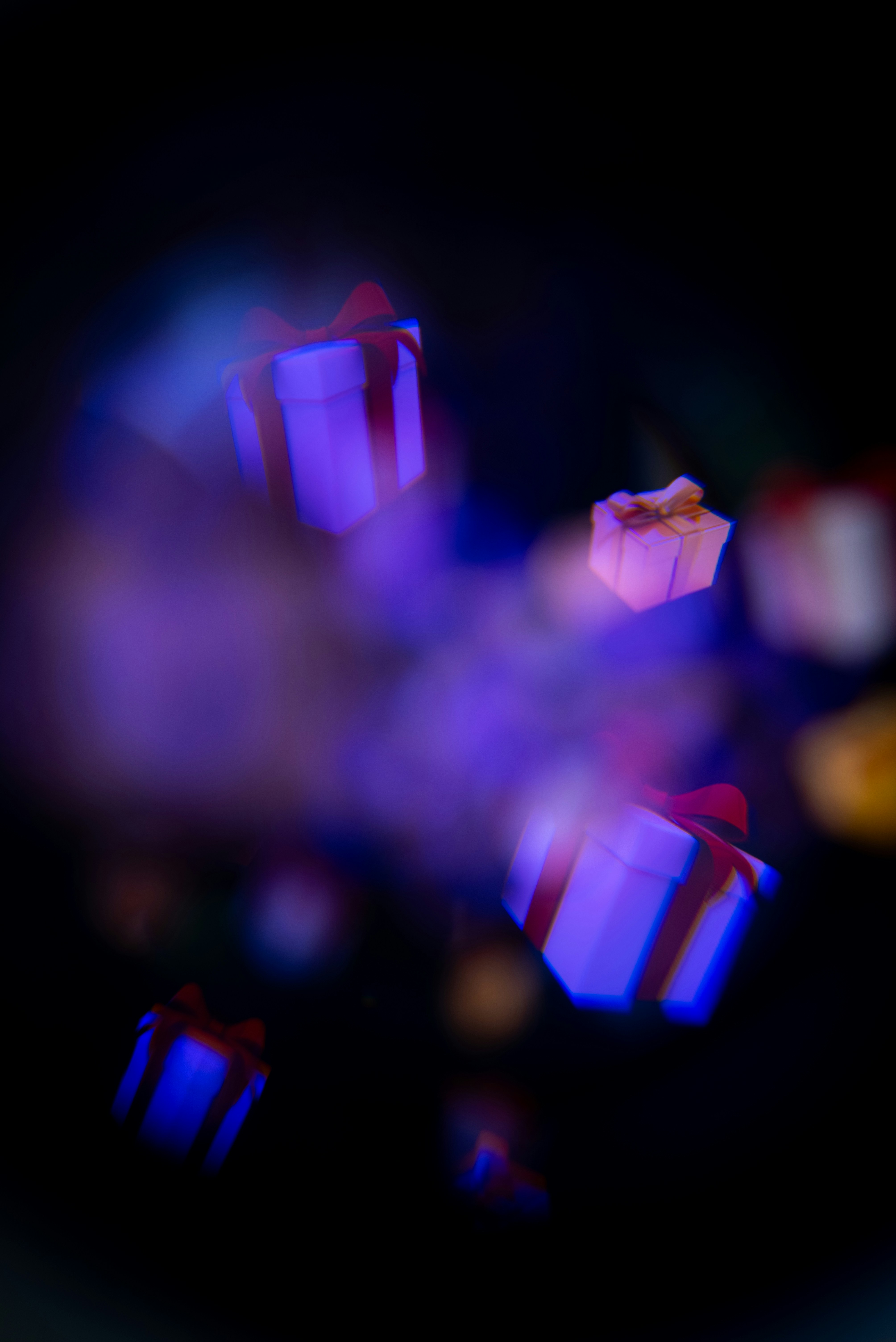 Glowing Gift Blooms in Velvet Darkness