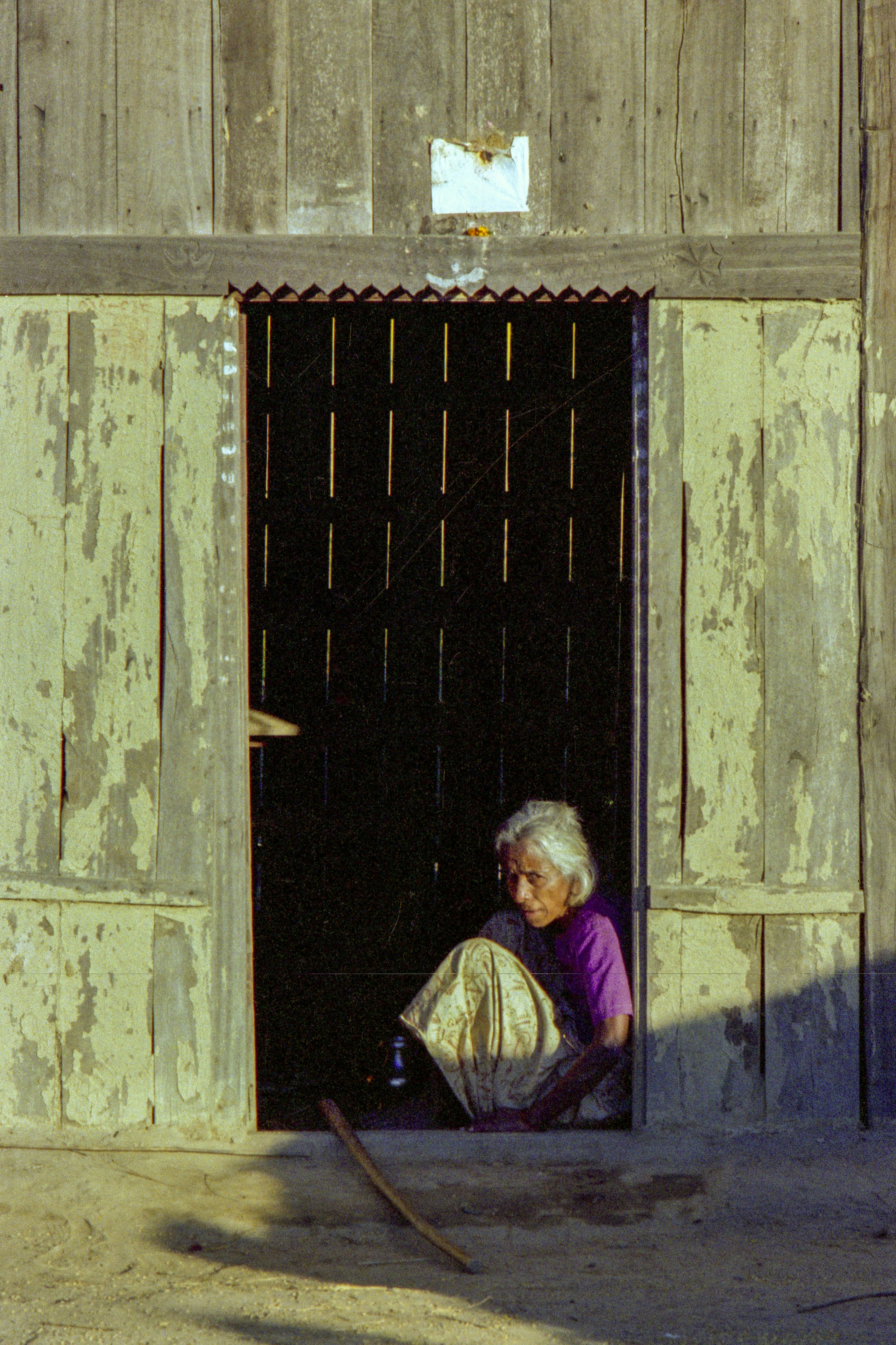 Sample photo from Pacific Image PrimeFilm 120 Pro Plus 