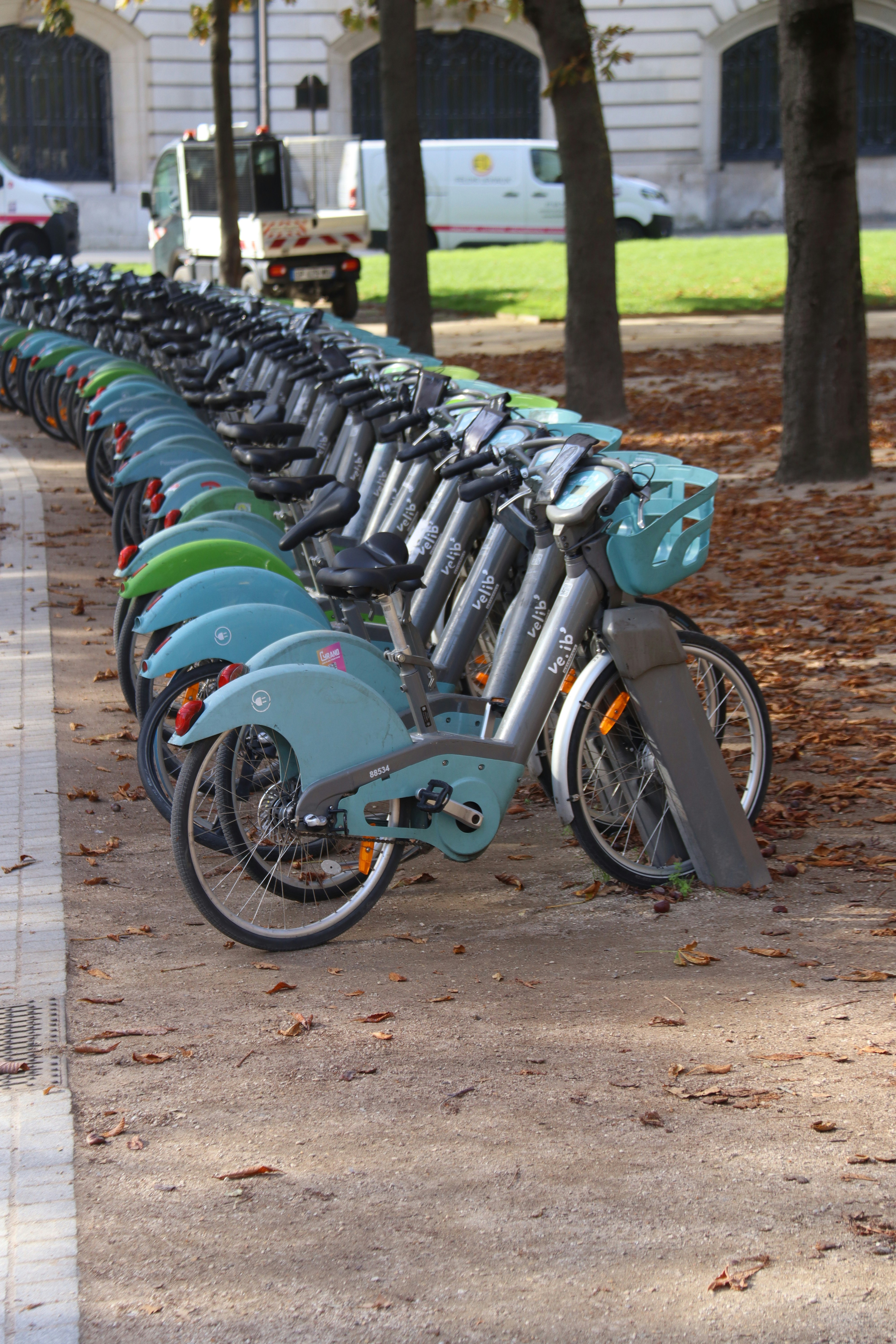 Row of rental bicycles parked neatly on a city street, showcasing vibrant colors and modern design elements. Leaves scattered on the ground hint at the changing seasons.