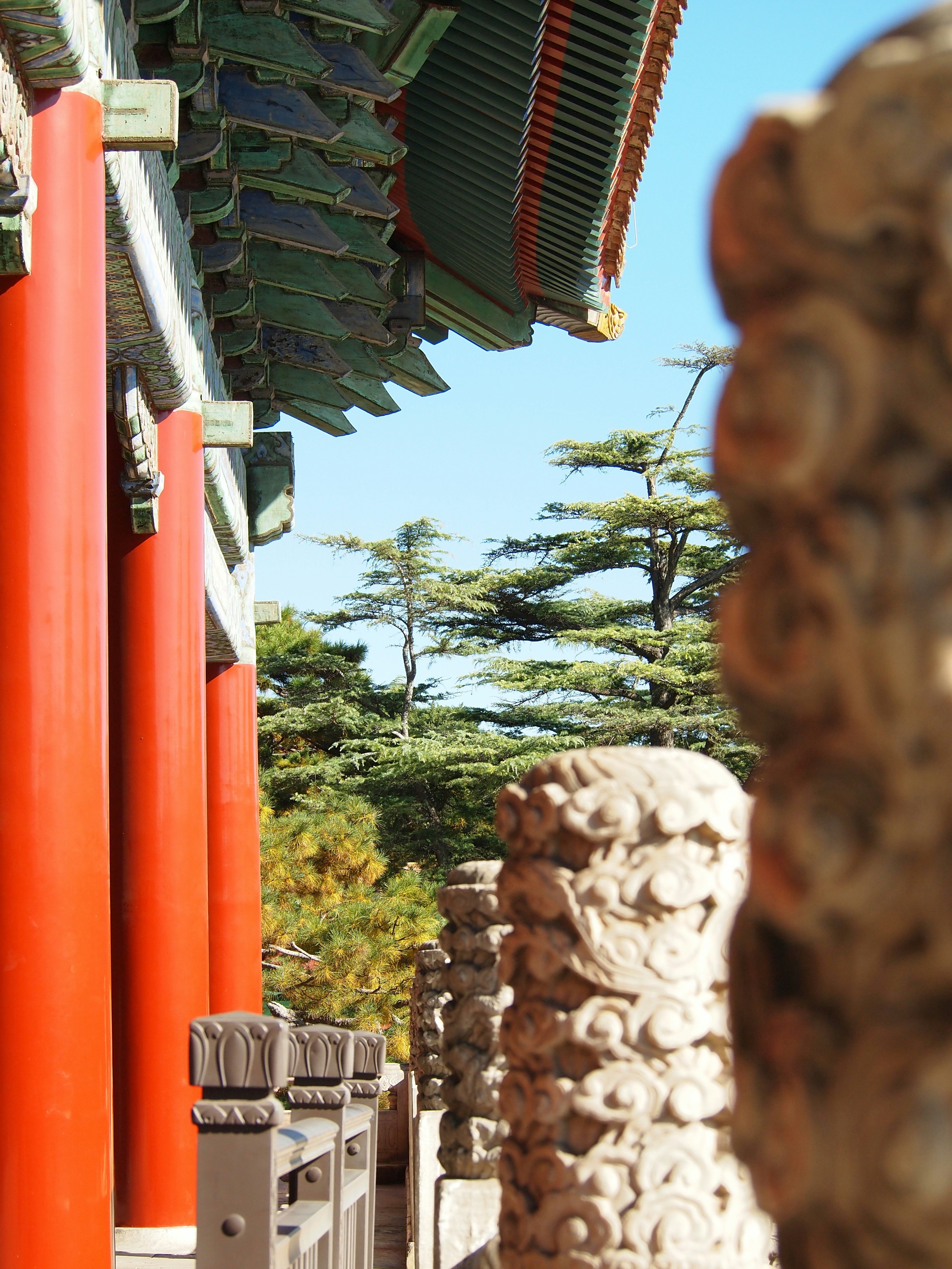 Red Pillars, Sunlit Eaves: A Temple Courtyard Walk