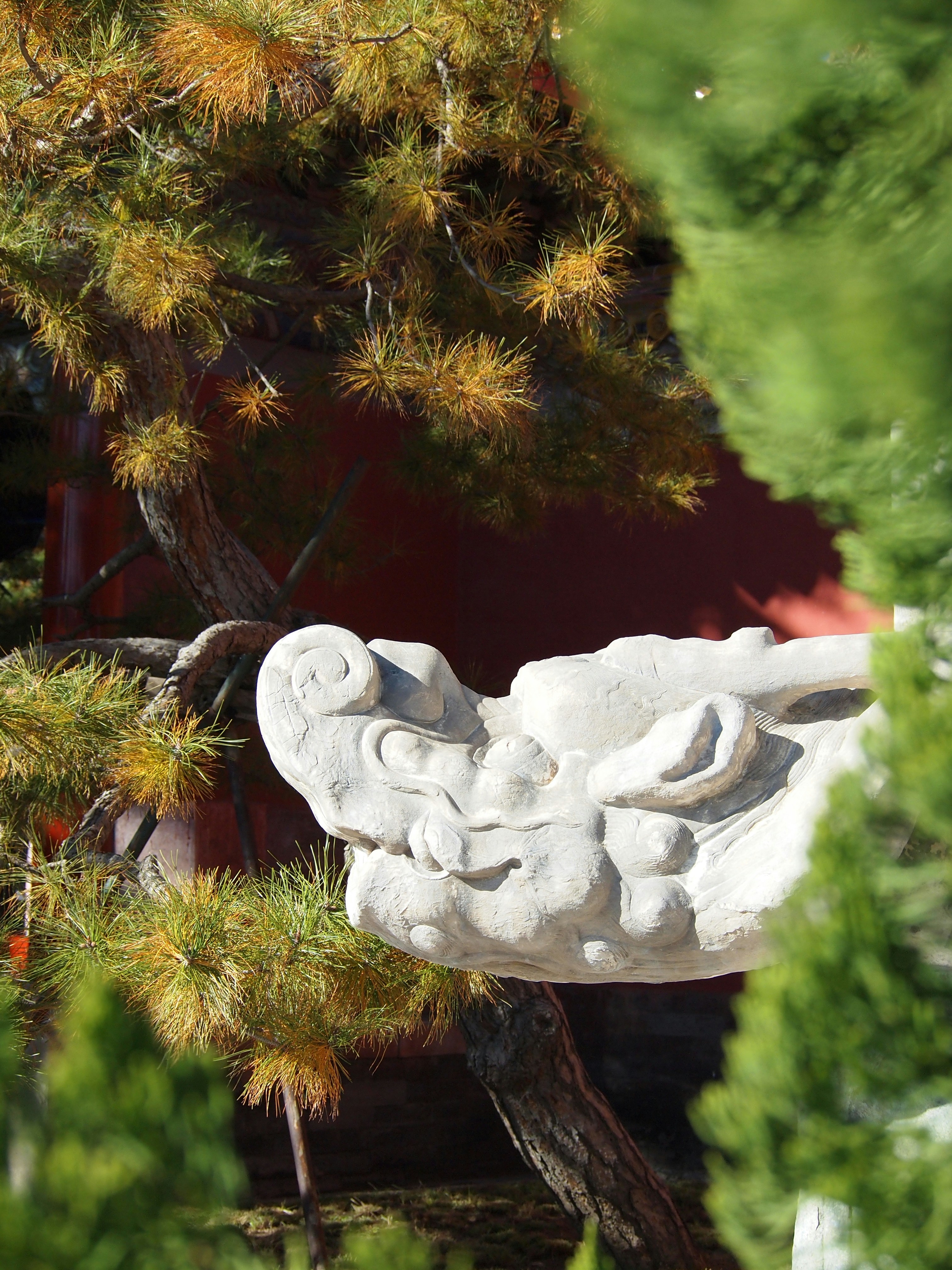 OLYMPUS DIGITAL CAMERA | Stone dragon head detail amid foliage