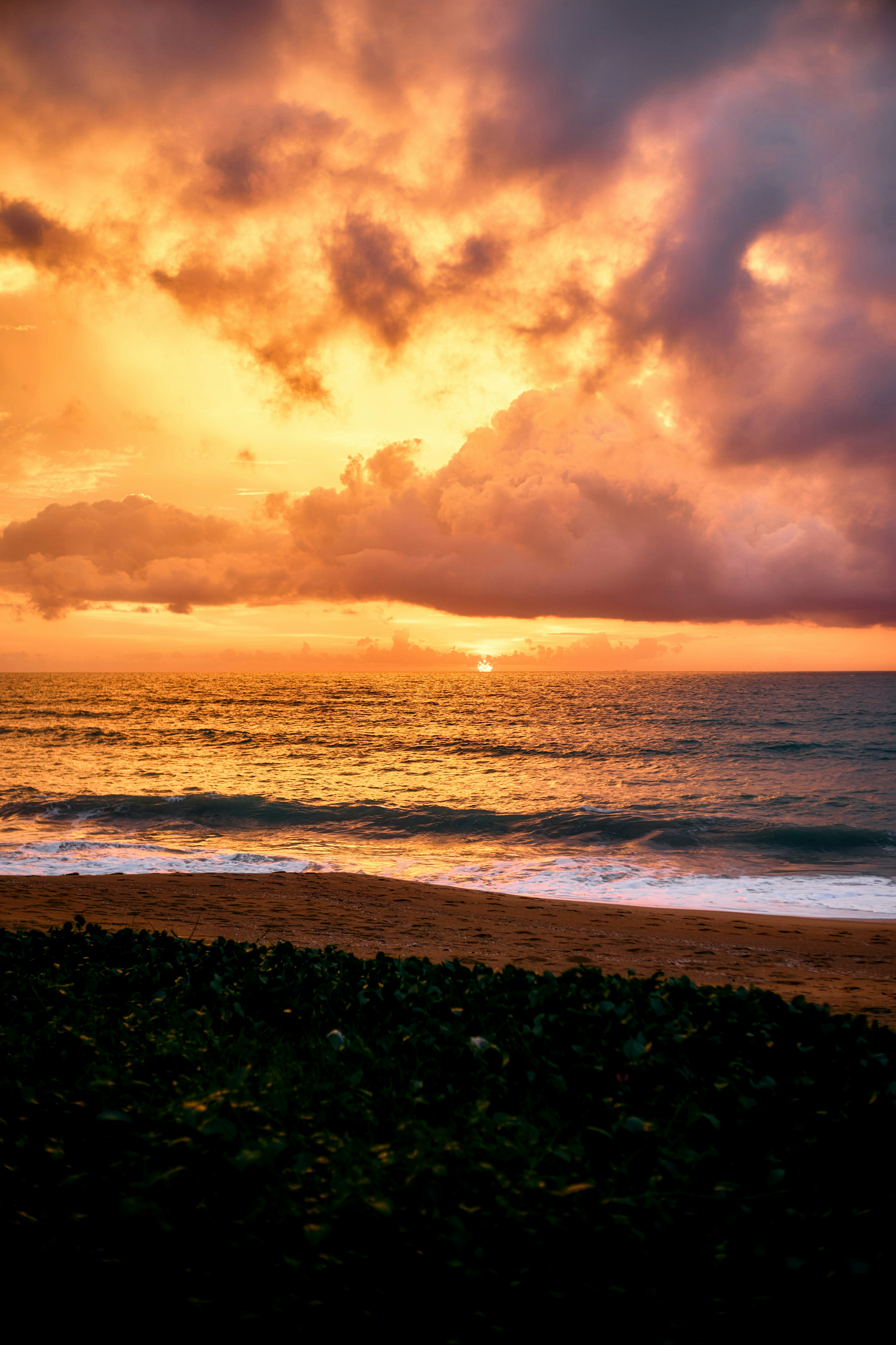 Vibrant sunset casting golden hues over calm ocean waves, with a sandy beach in the foreground and lush greenery at the bottom.