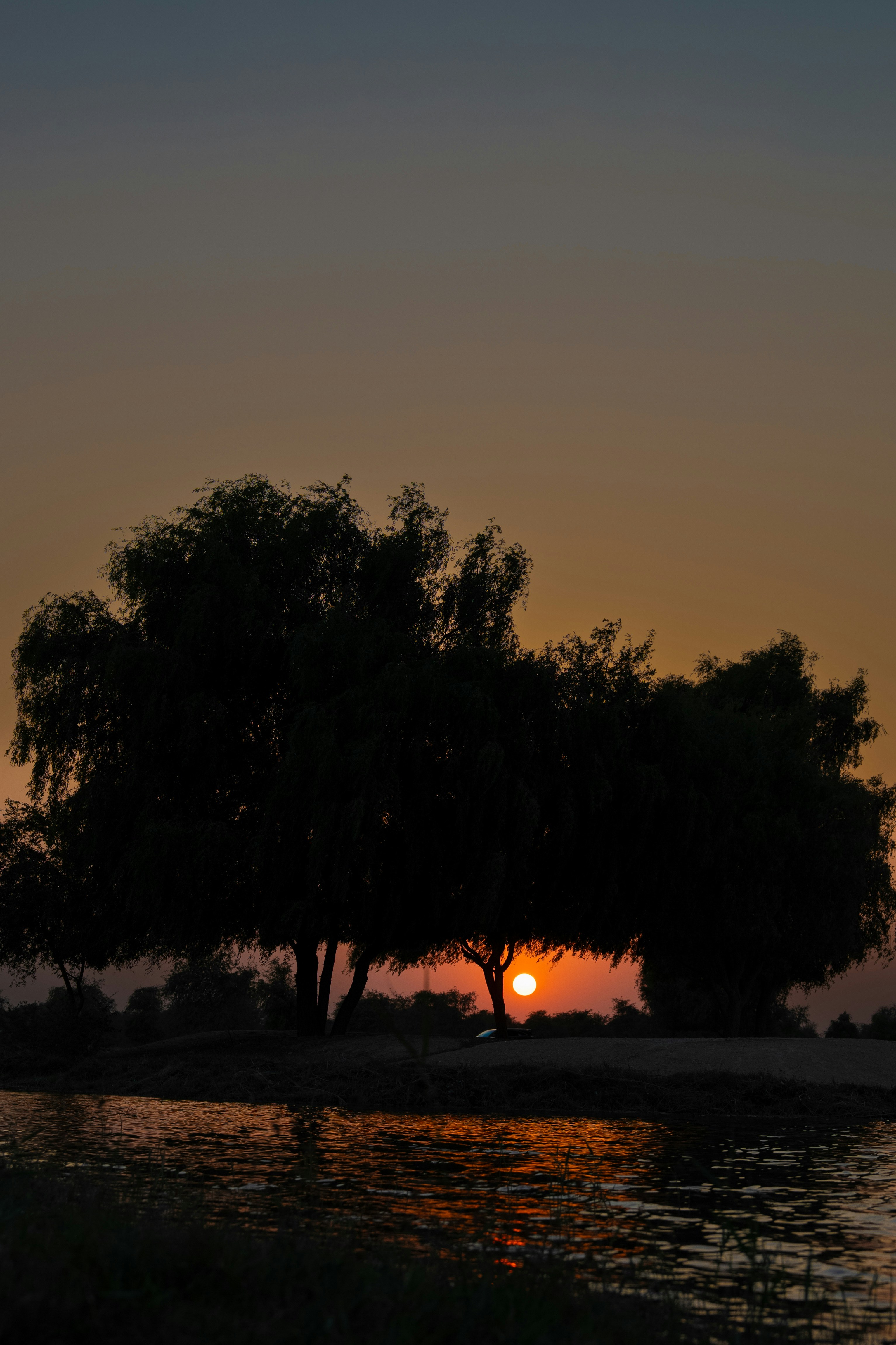 Silhouetted trees frame a tranquil sunset over a serene body of water, with warm hues reflecting on the surface.