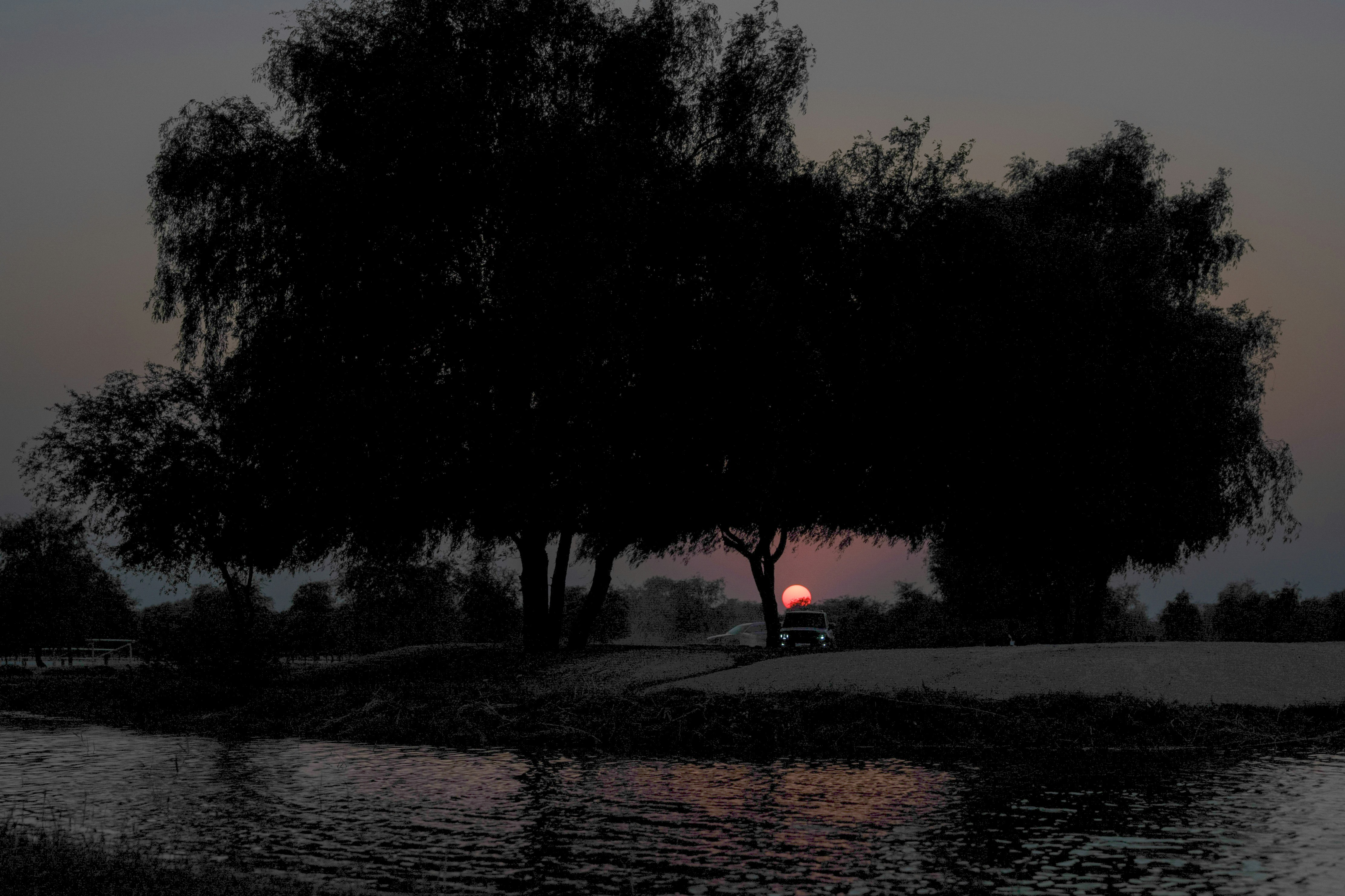 Red Taillight Reverie Under a Dark Canopy by the Shore at Dusk