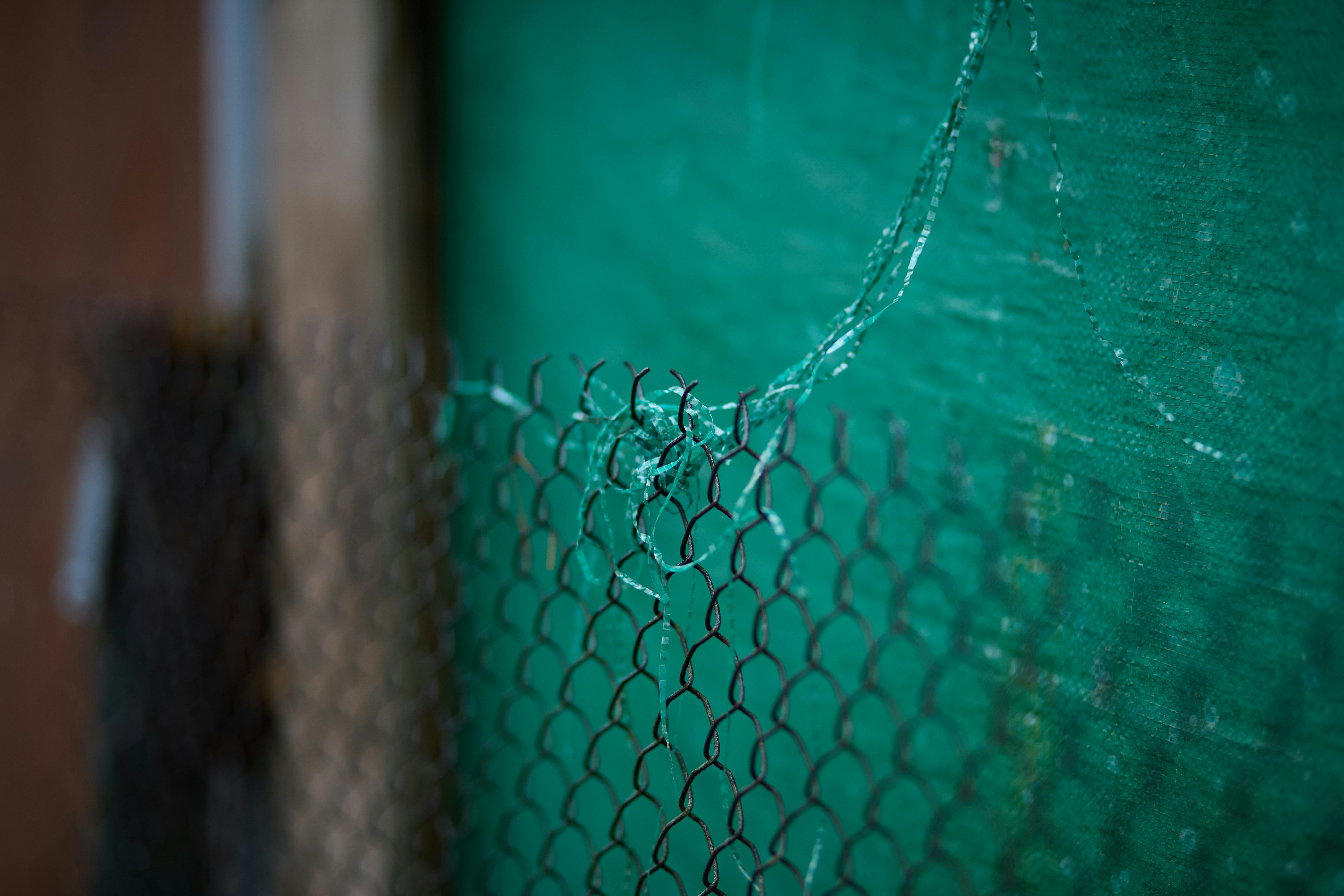 Frayed Boundary: A Close-Up Study of Metal Mesh Against Green