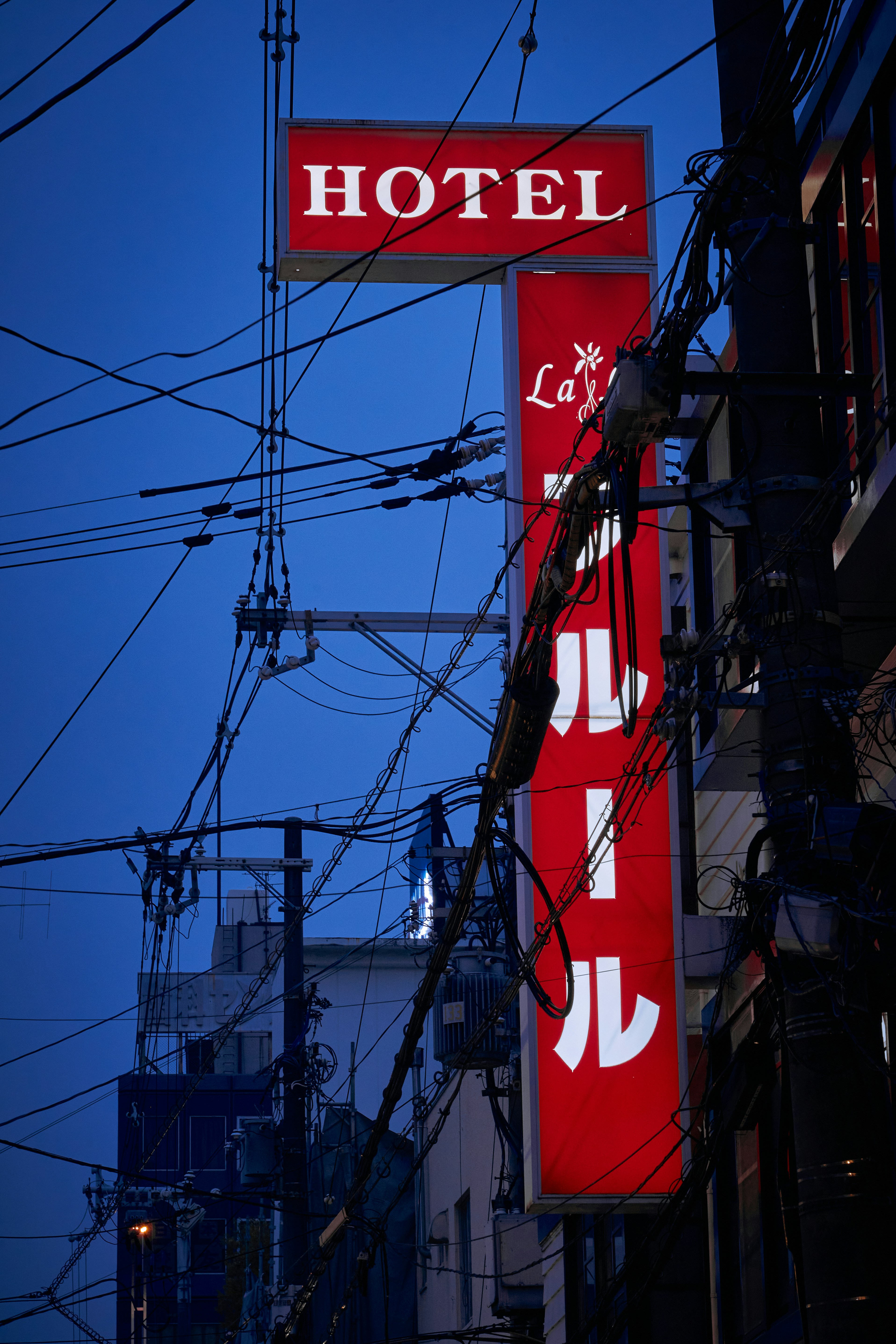 Photo by Fabio Montello with Sony Alpha 7 II