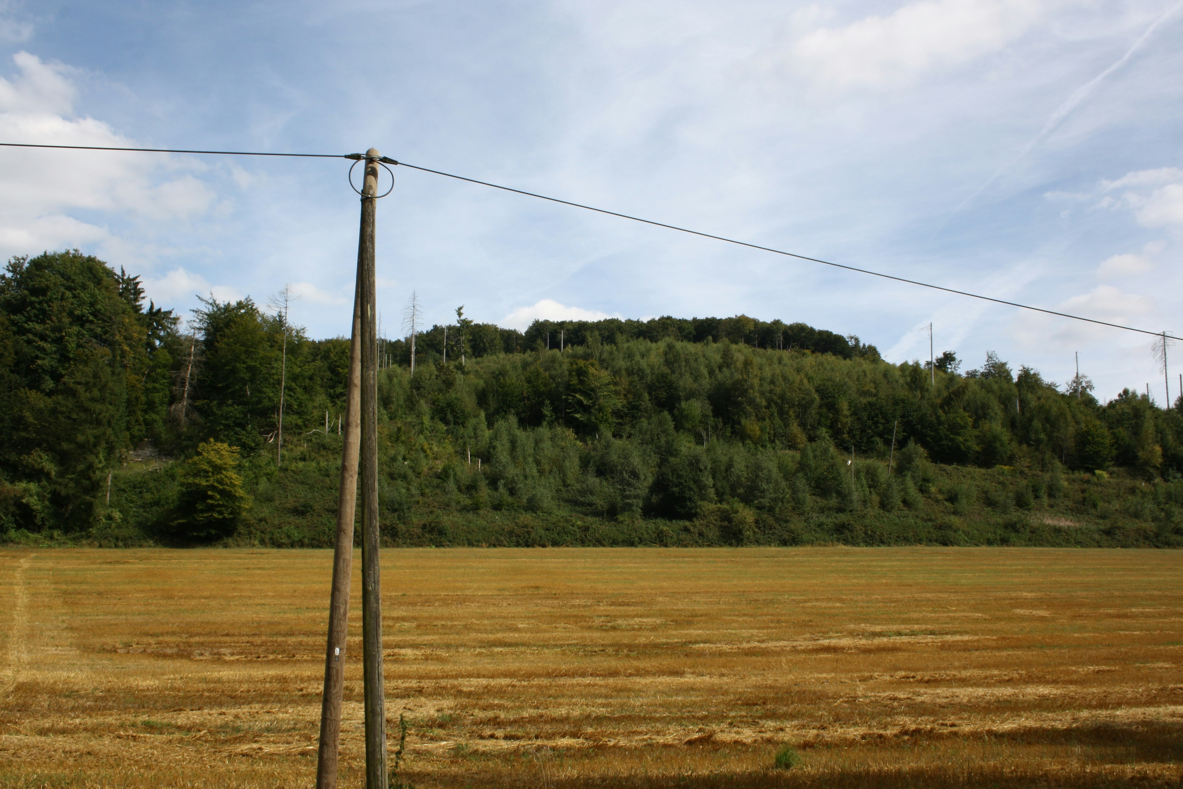 Pole and Wire Stitch a Golden Field Across the Landscape