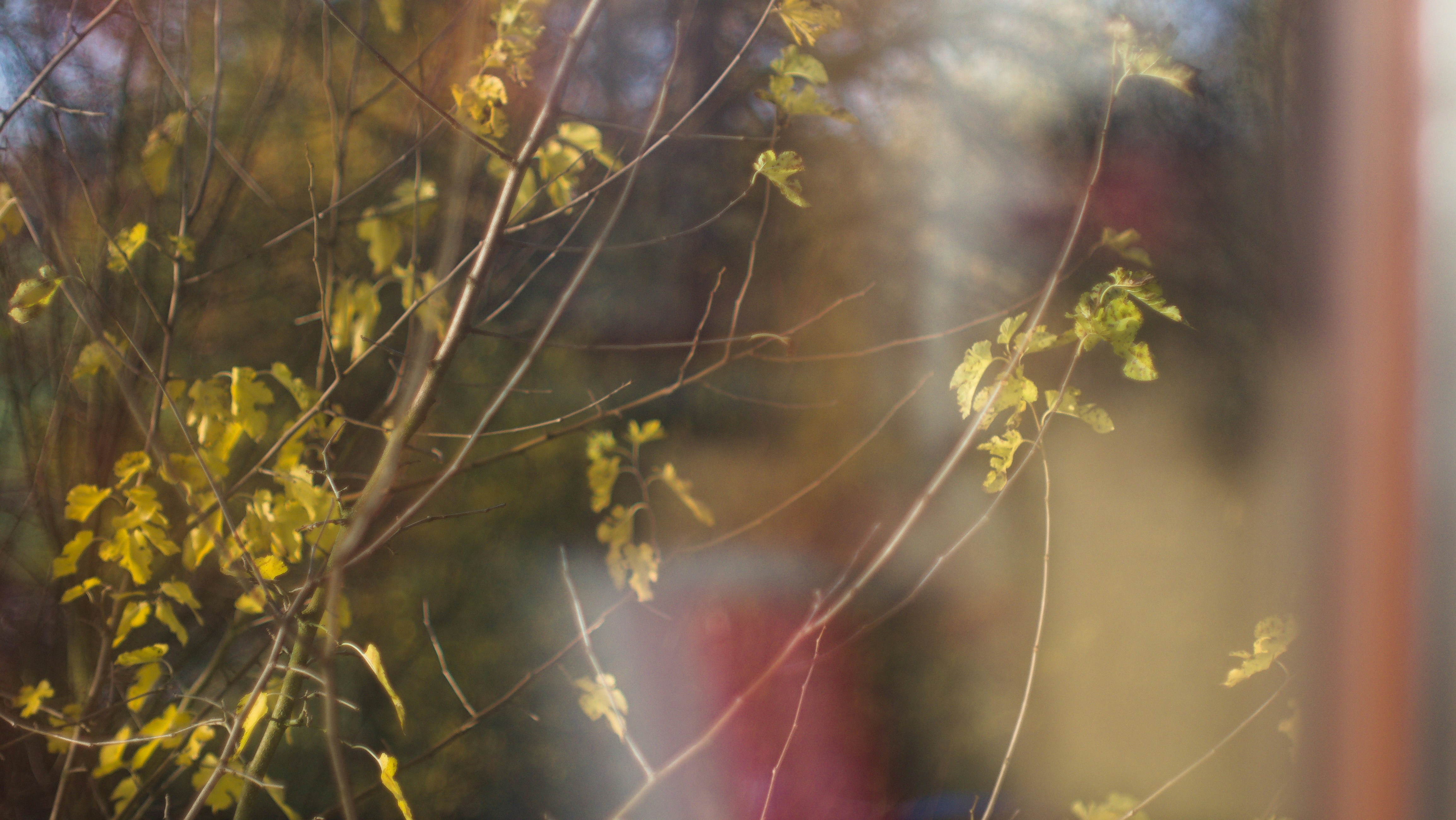 Photo by Nadja Thöner with Panasonic Lumix GH4