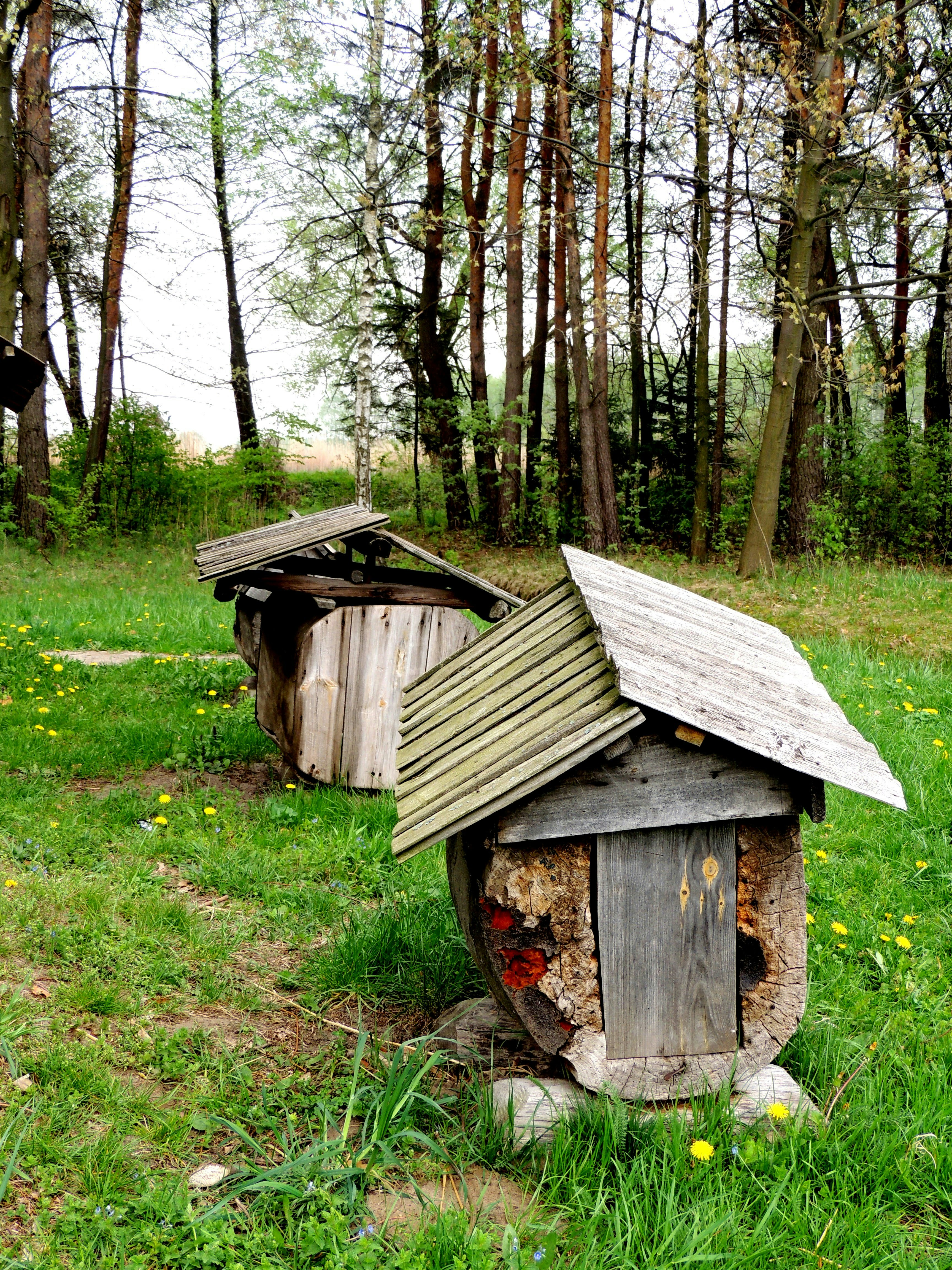 Photo by Yaroslava Holiachenko with Nikon Coolpix P510