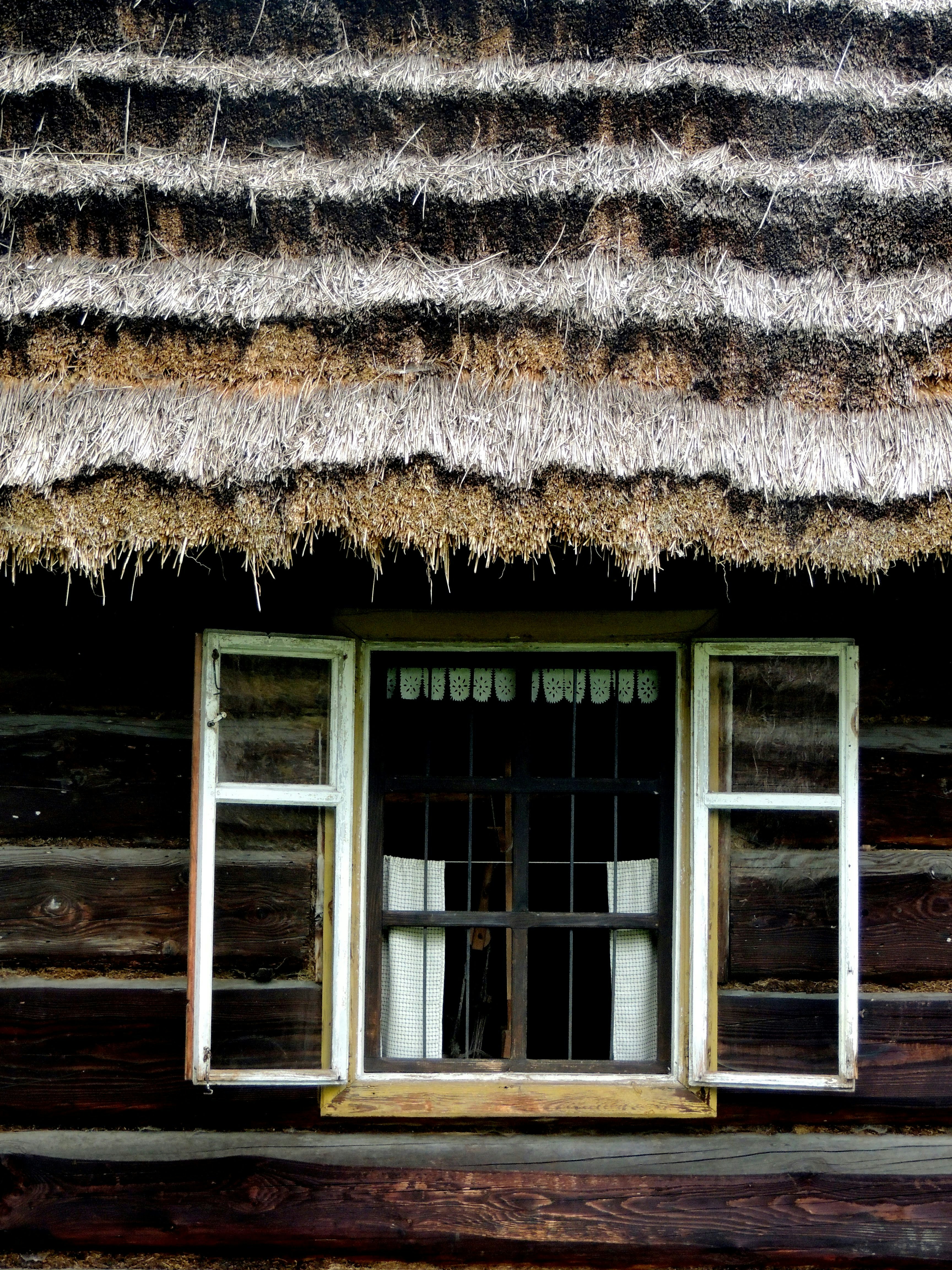 Center Window in a Rustic Log Cabin Framed by Weathered Thatch and Dark Timber