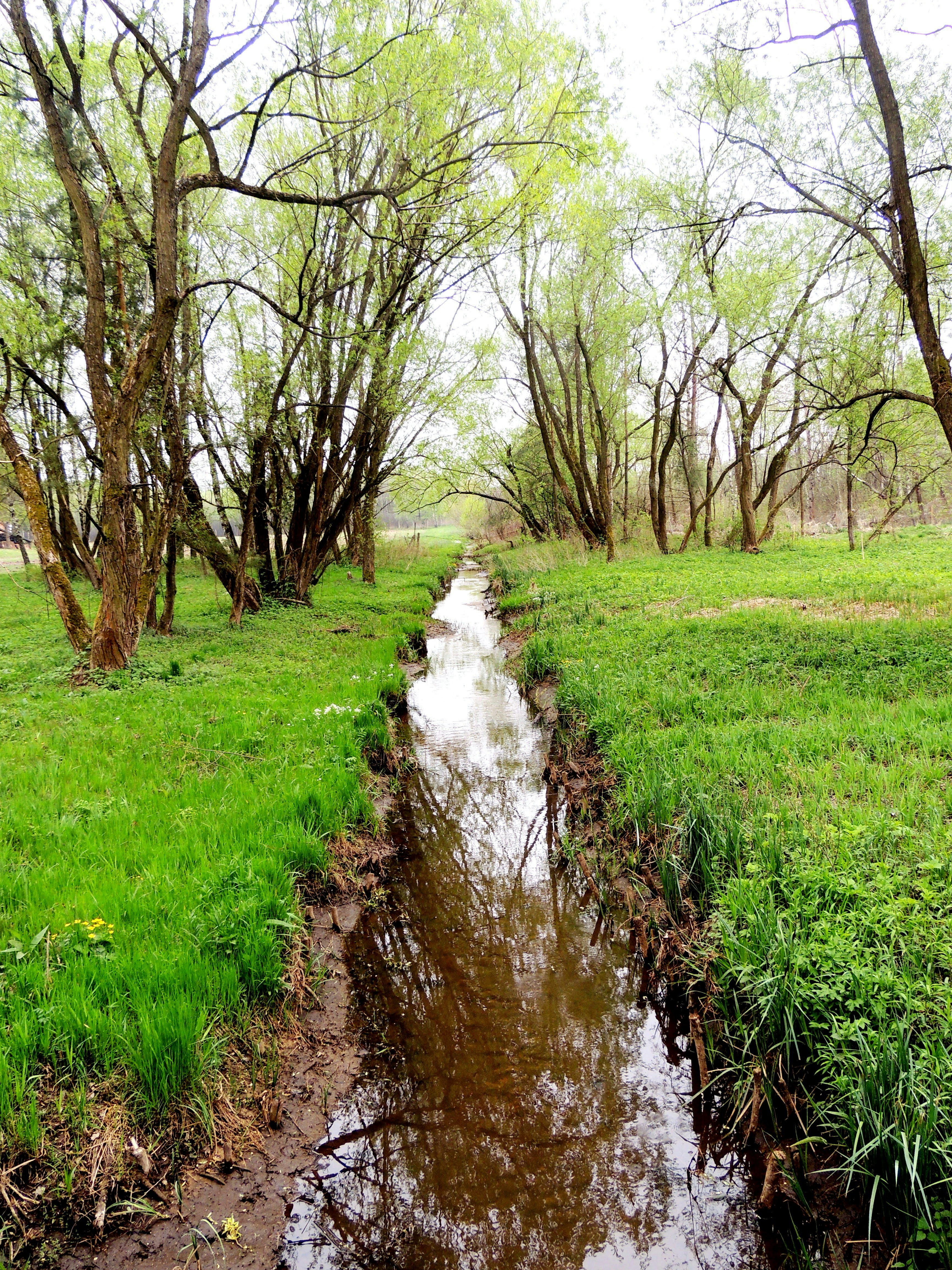 Yaroslava Holiachenko (@yara_gr) | Unsplash Photo Community