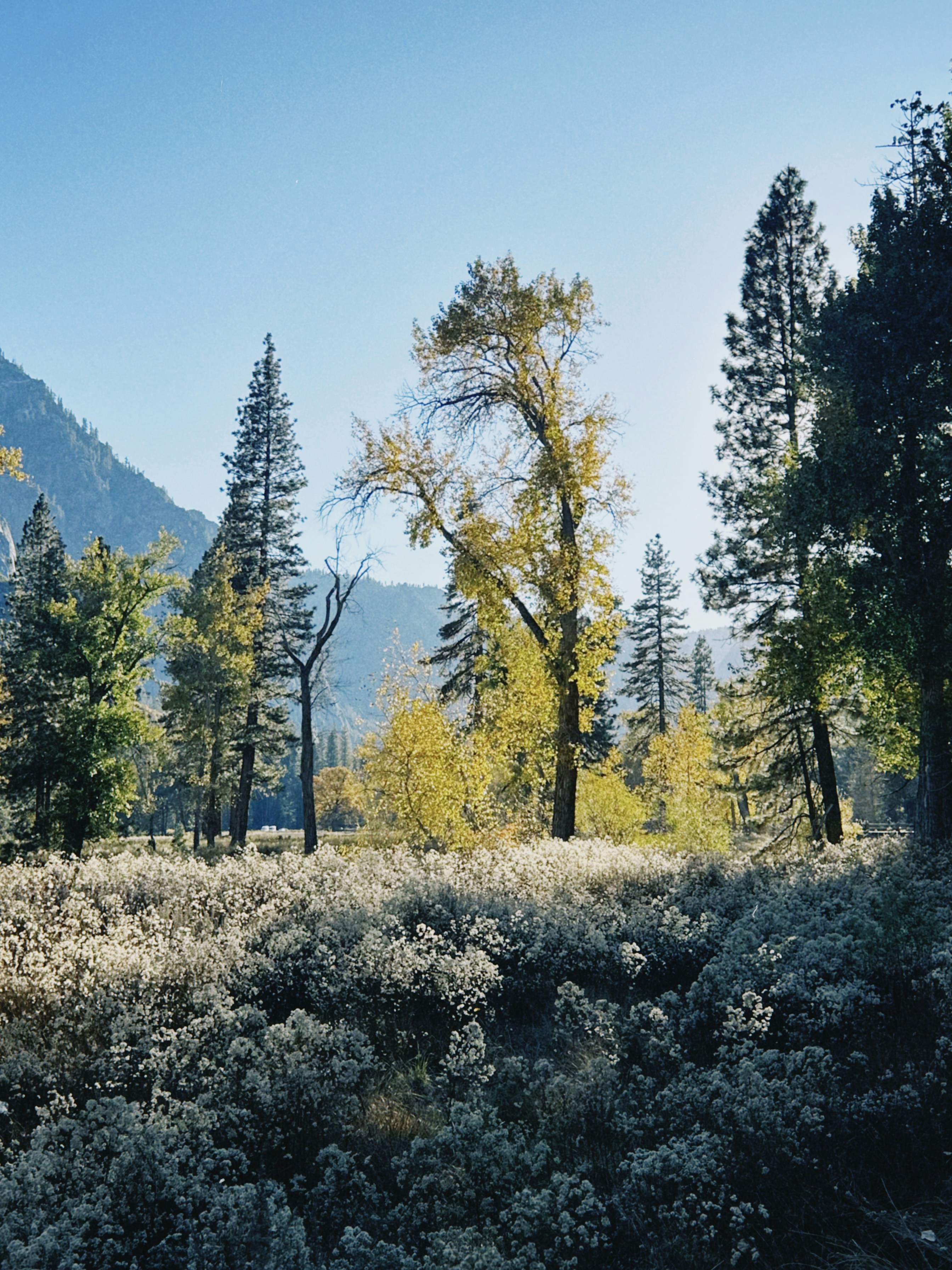 Yosemite in the fall