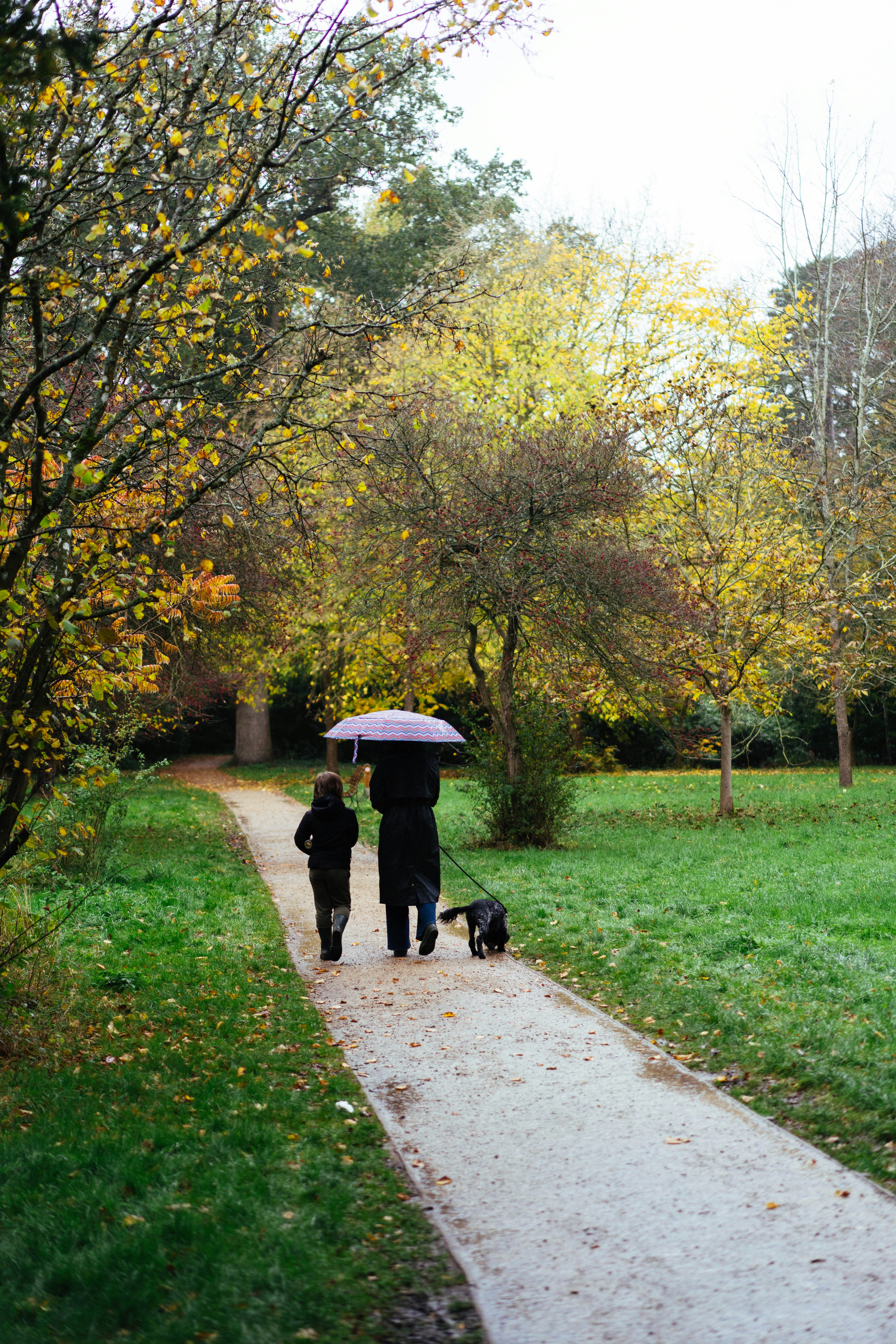 Stroll Through Autumn's Embrace