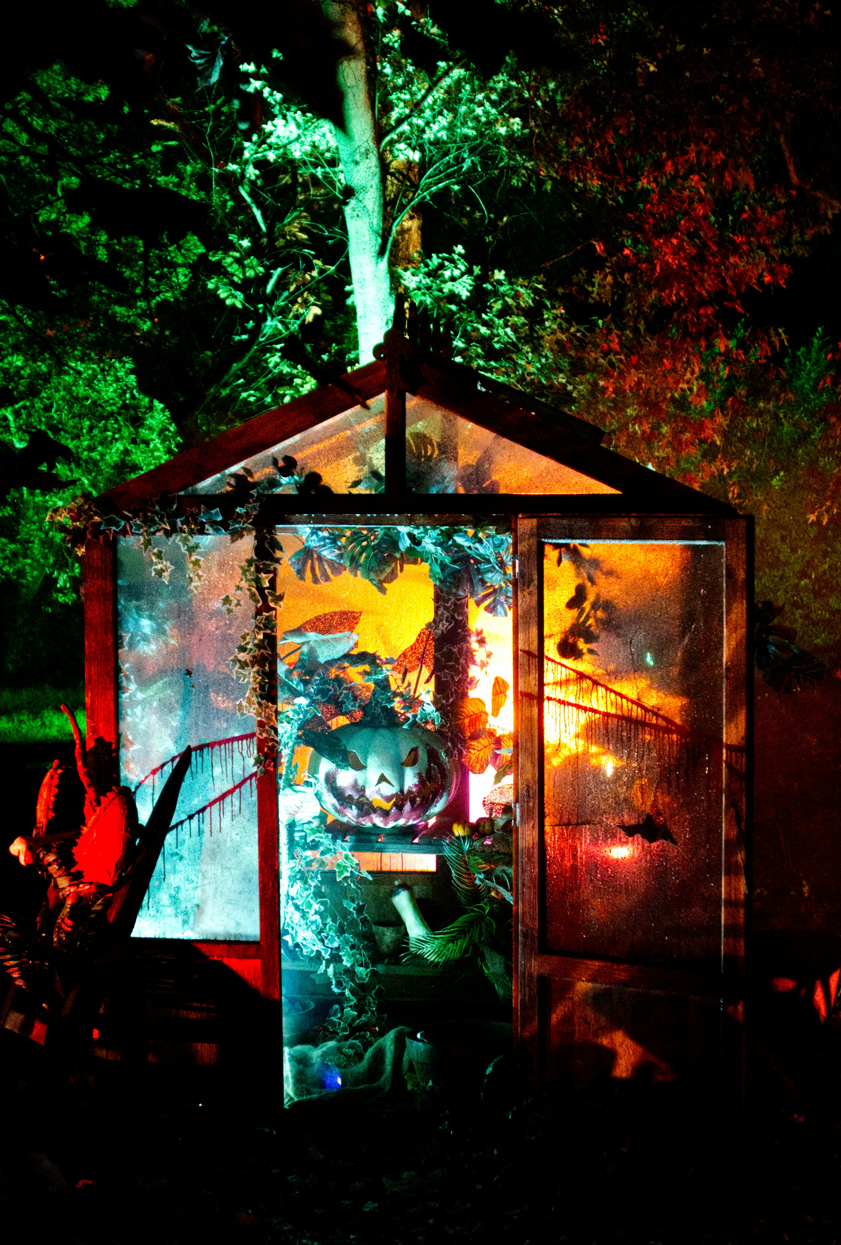 Neon Glasshouse Glow: A Pumpkin Illuminates a Nighttime Conservatory
