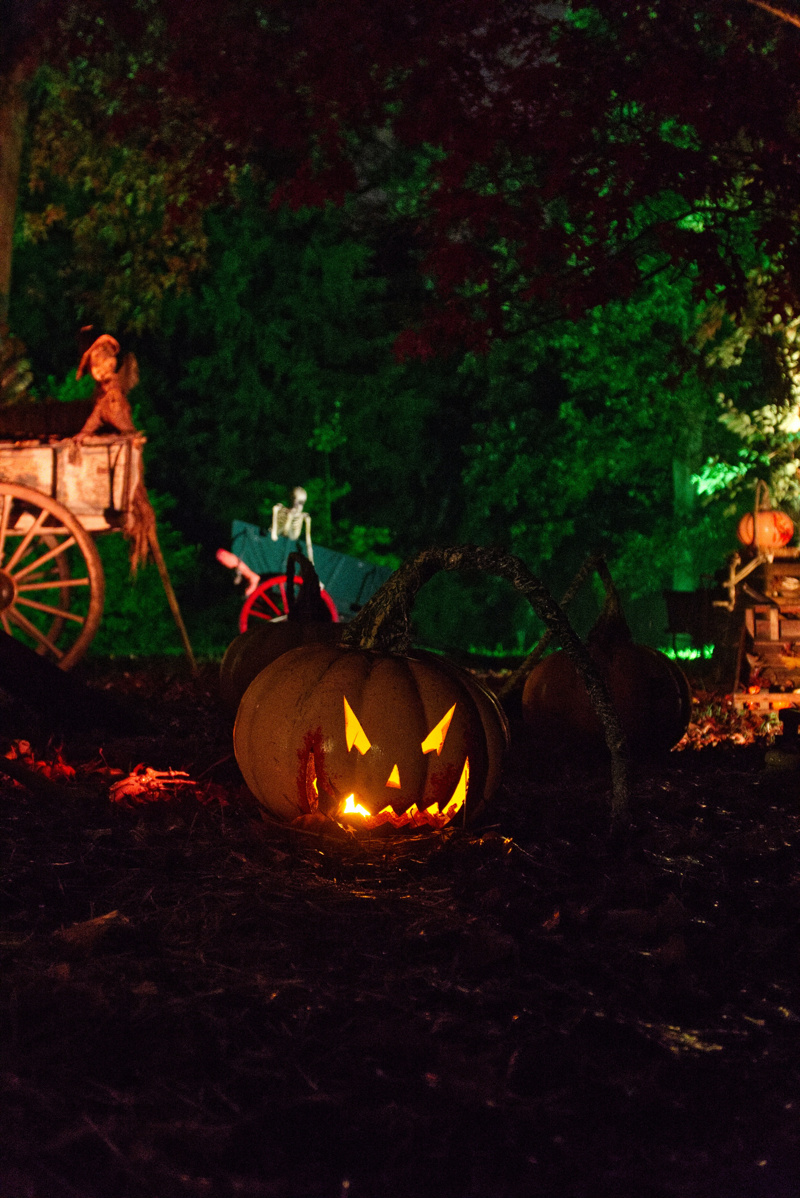 Photo by Alex Dadukin with Leica D-Lux 7