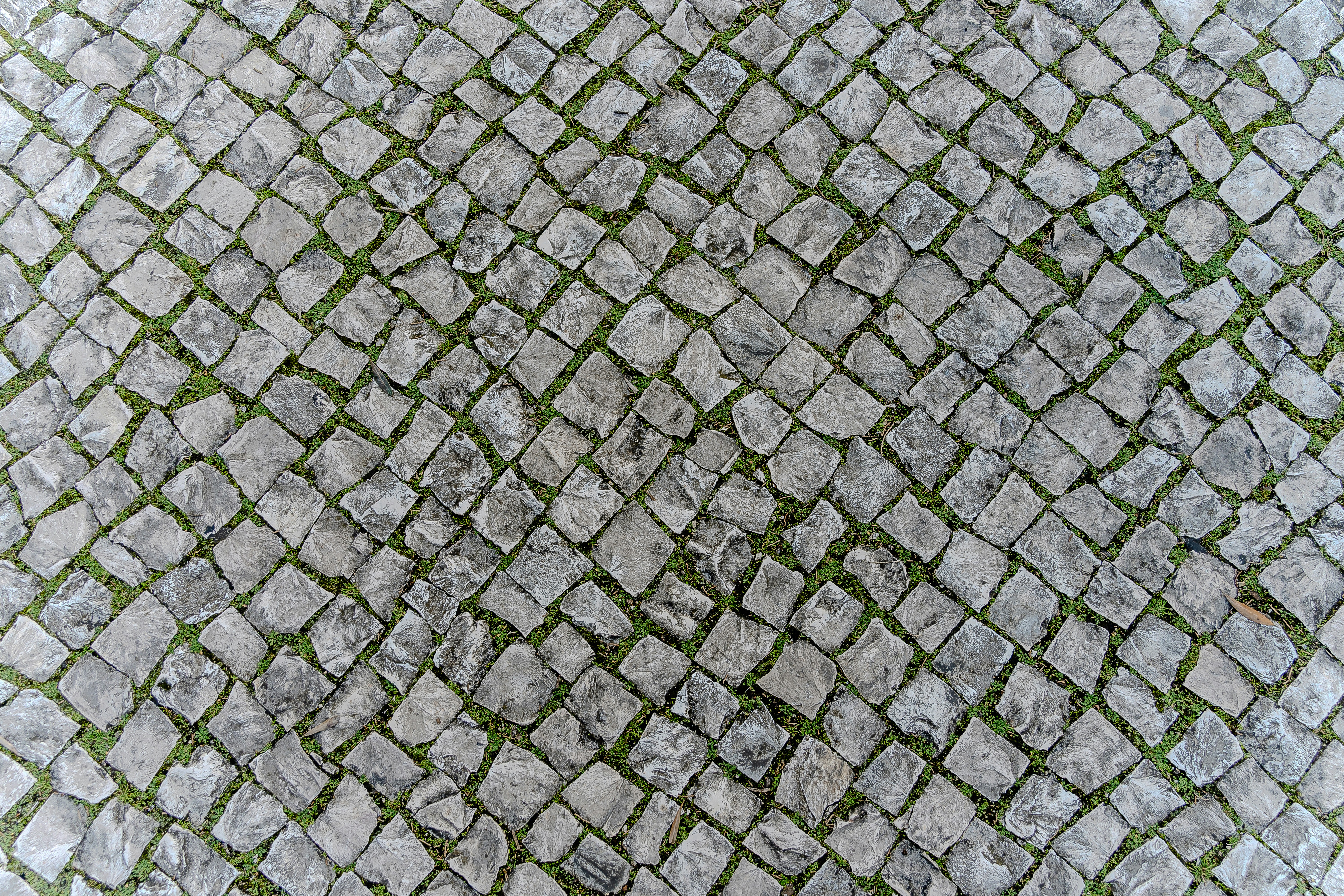 Photo by Fang Guo with Sony Alpha 7C