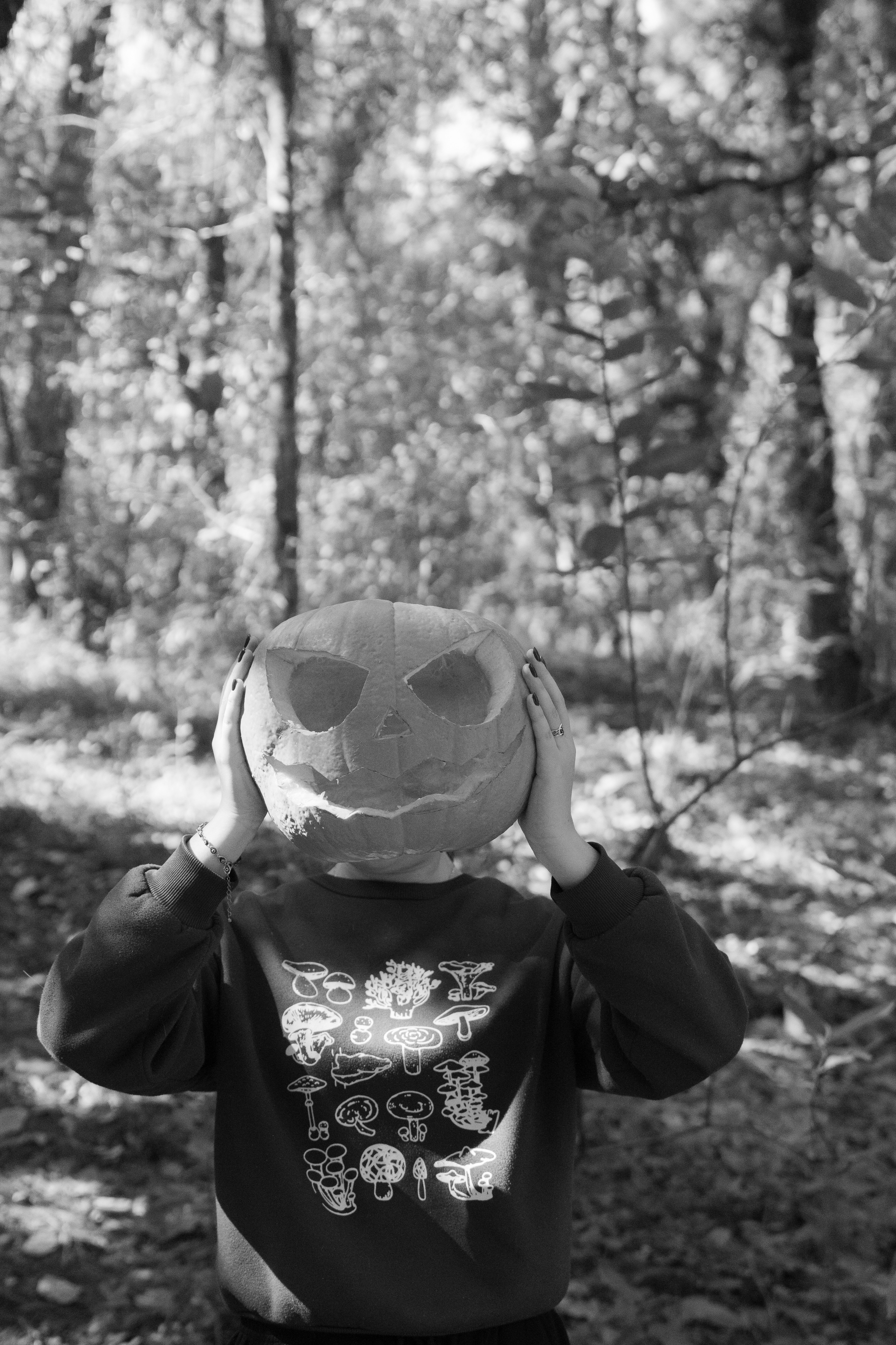 Photo by Pablo Lara with Sony Alpha 7R V