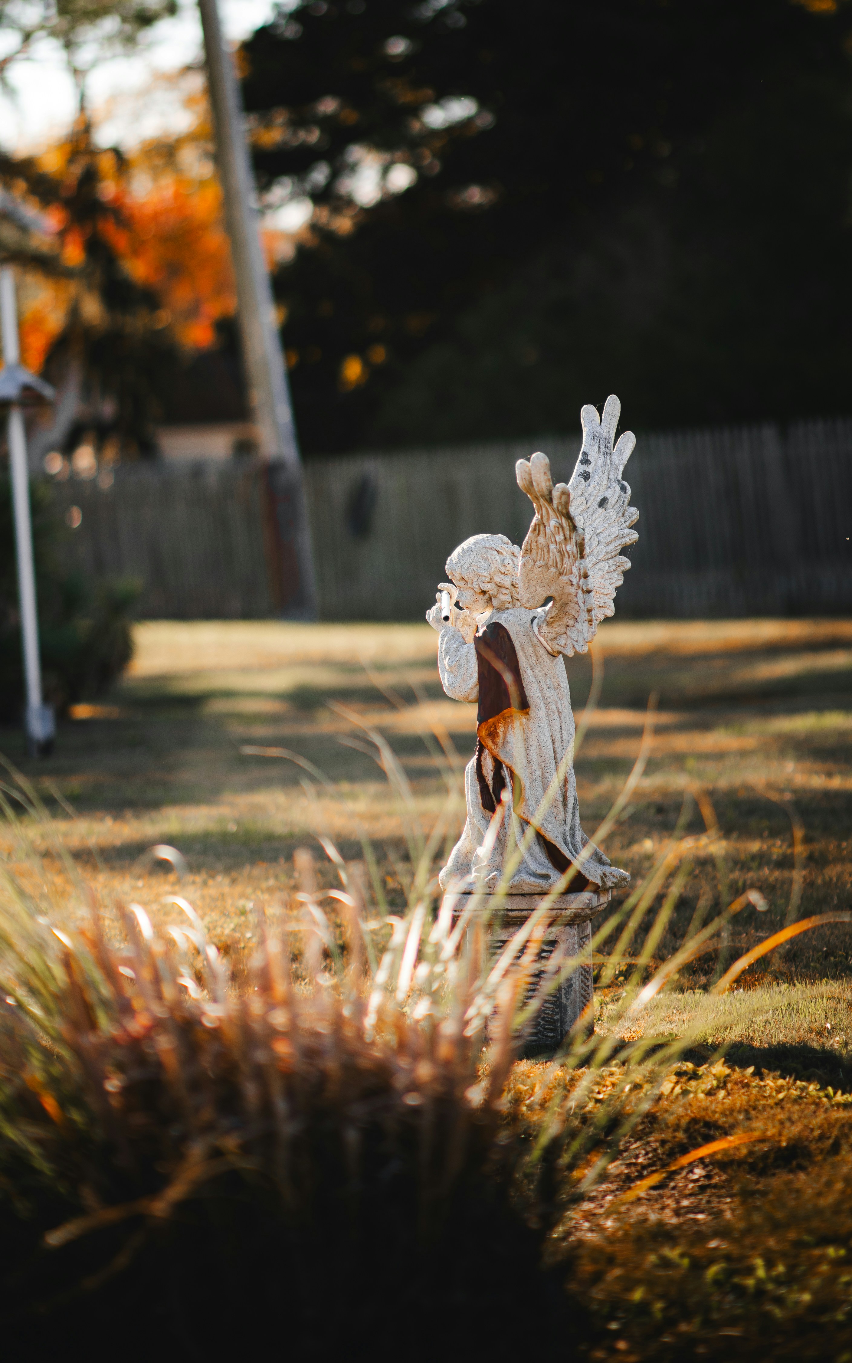 Whispers of Serenity: The Guardian in Autumn Light