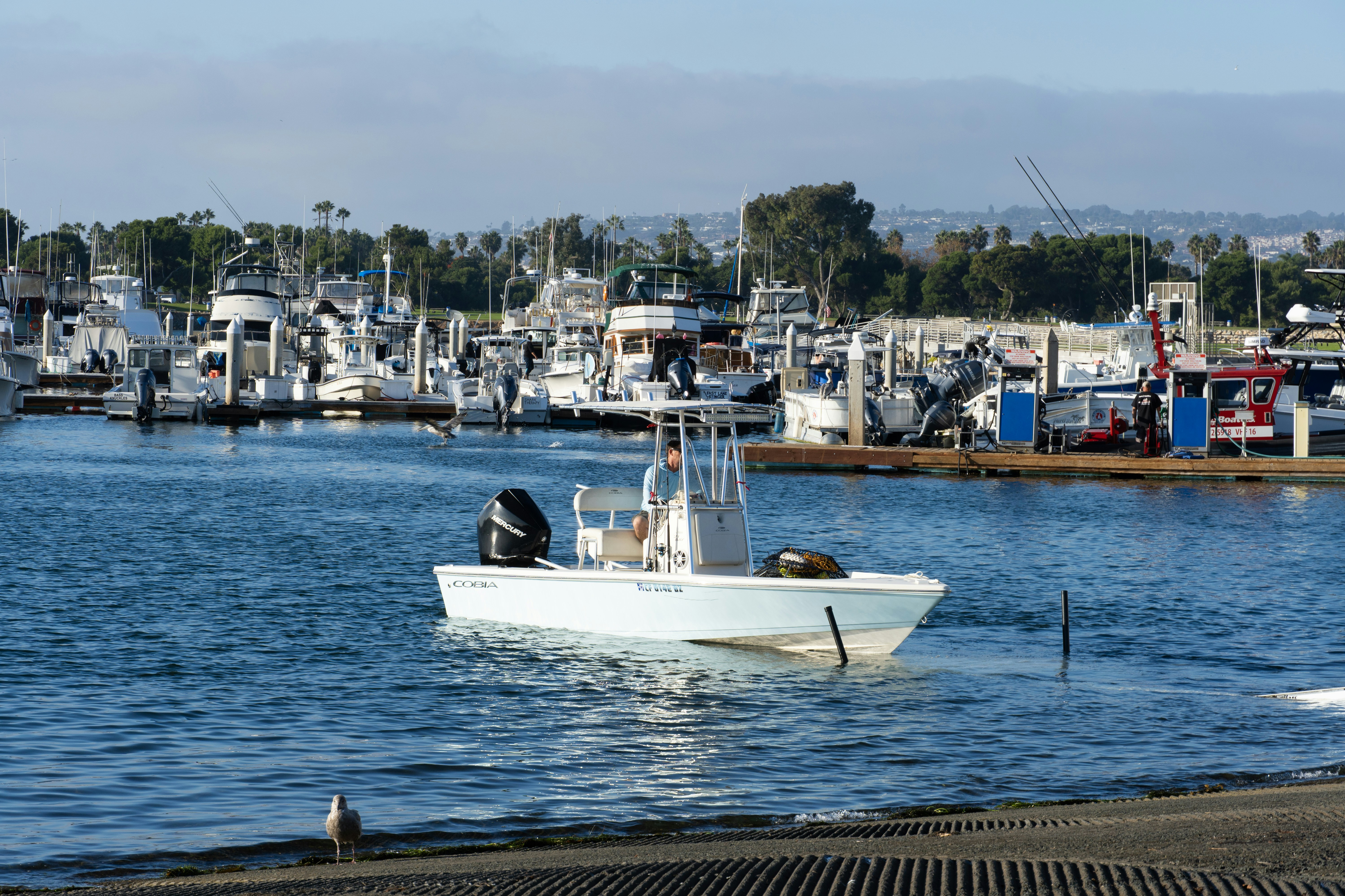 Harbor Serenity: A Day on the Water