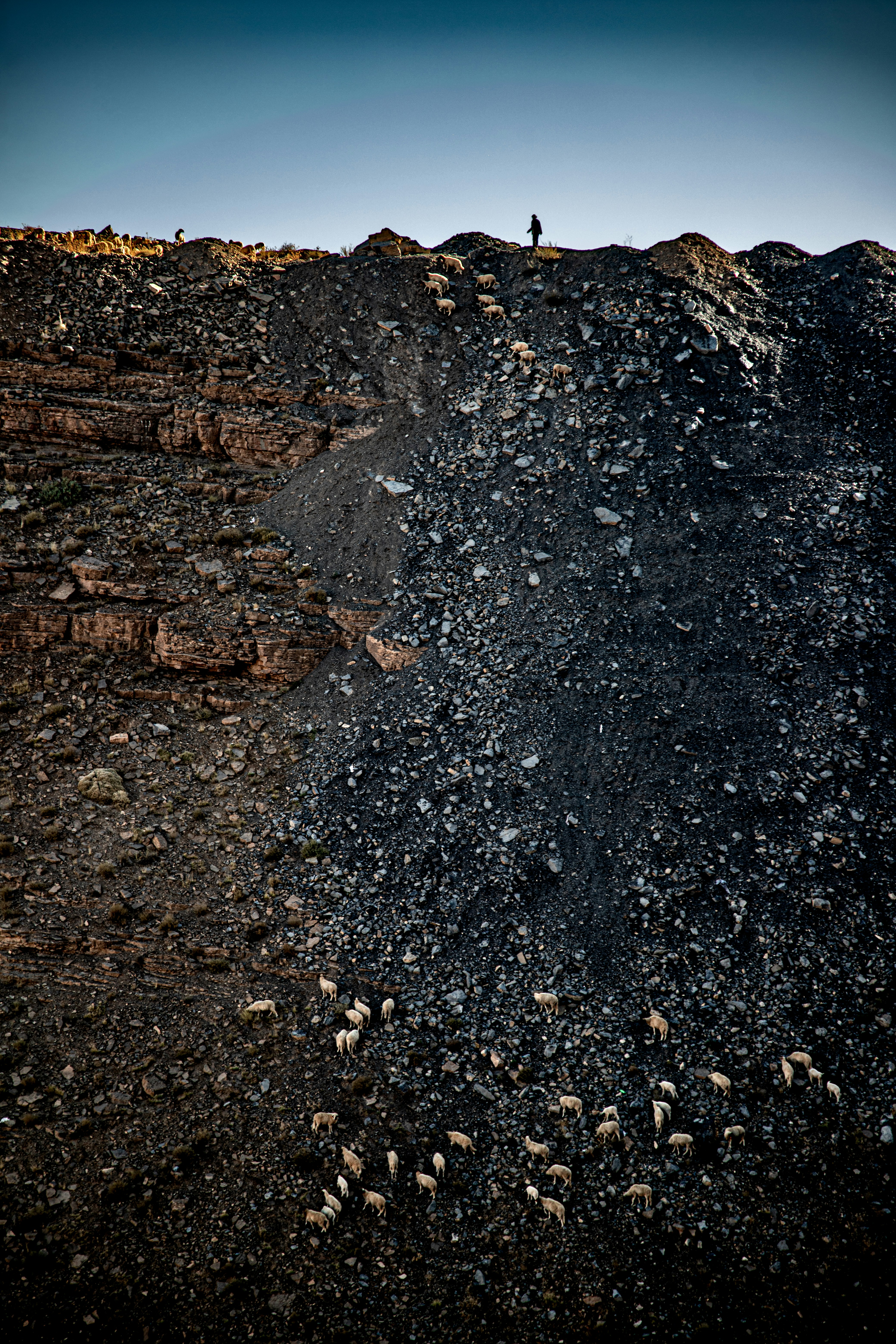 Photo by Bernd 📷 Dittrich with Canon EOS 6D Mark II