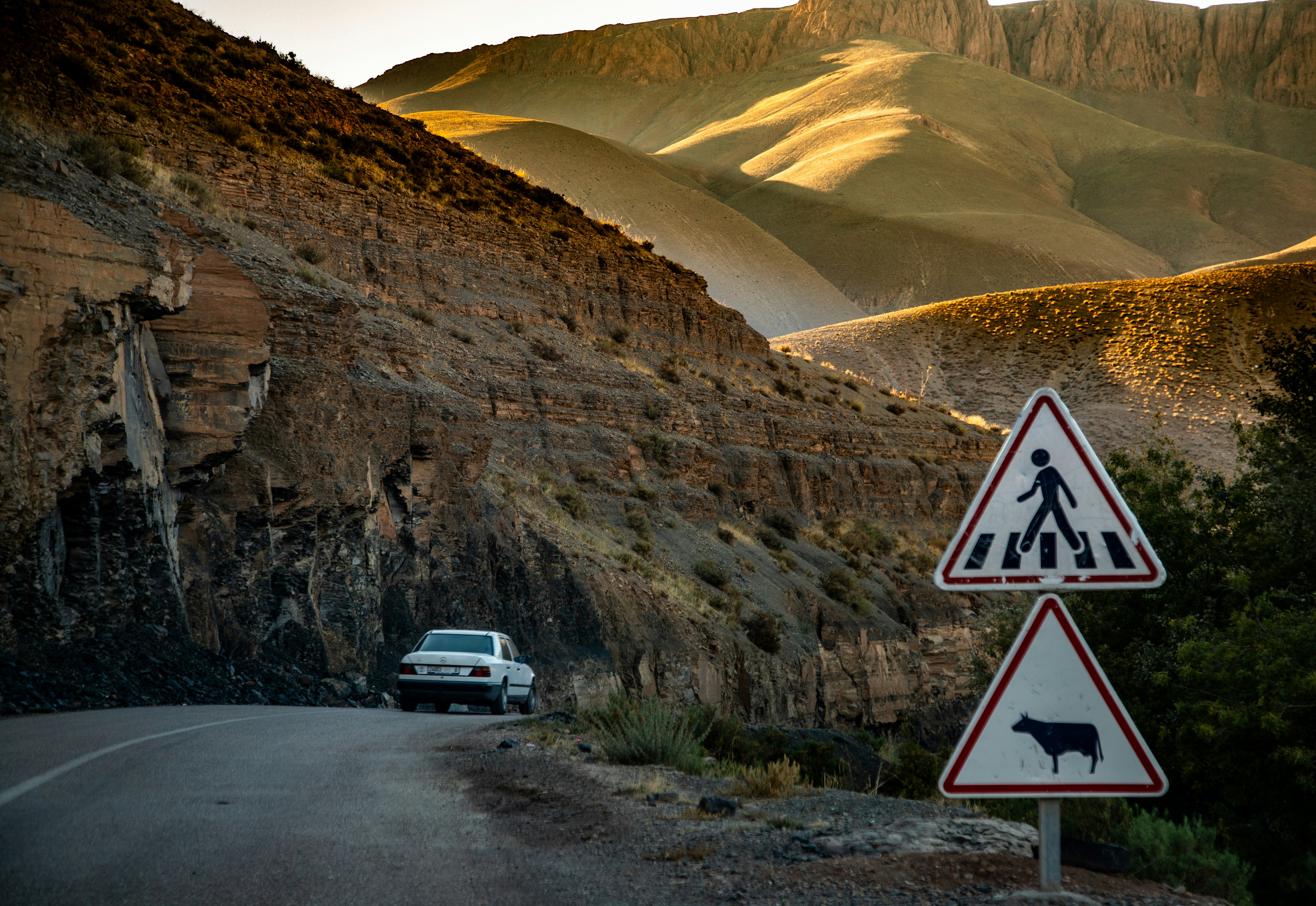 Navigating the Rocky Path