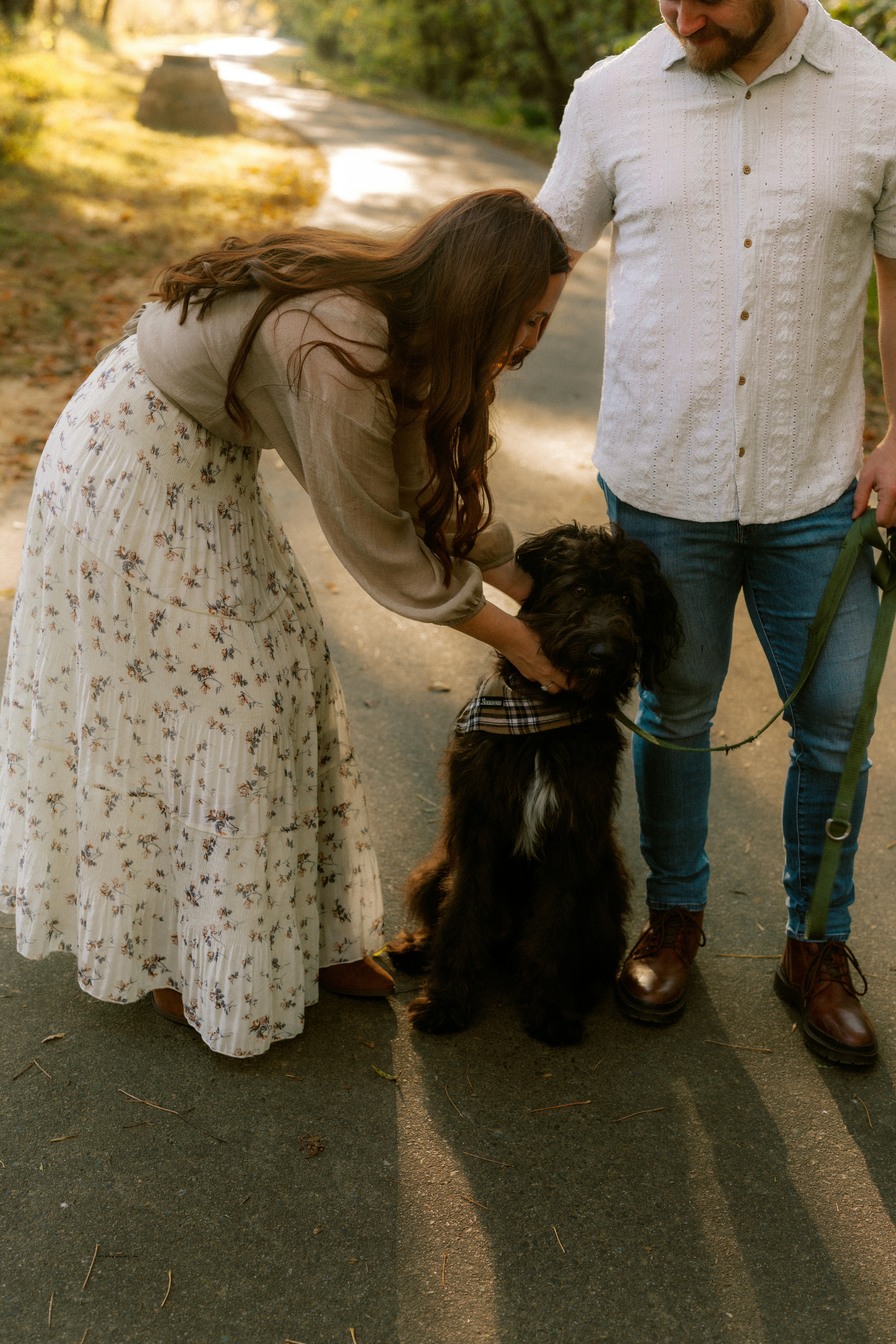 Sunlit Pause: A dog-centered moment on a sun-dappled path