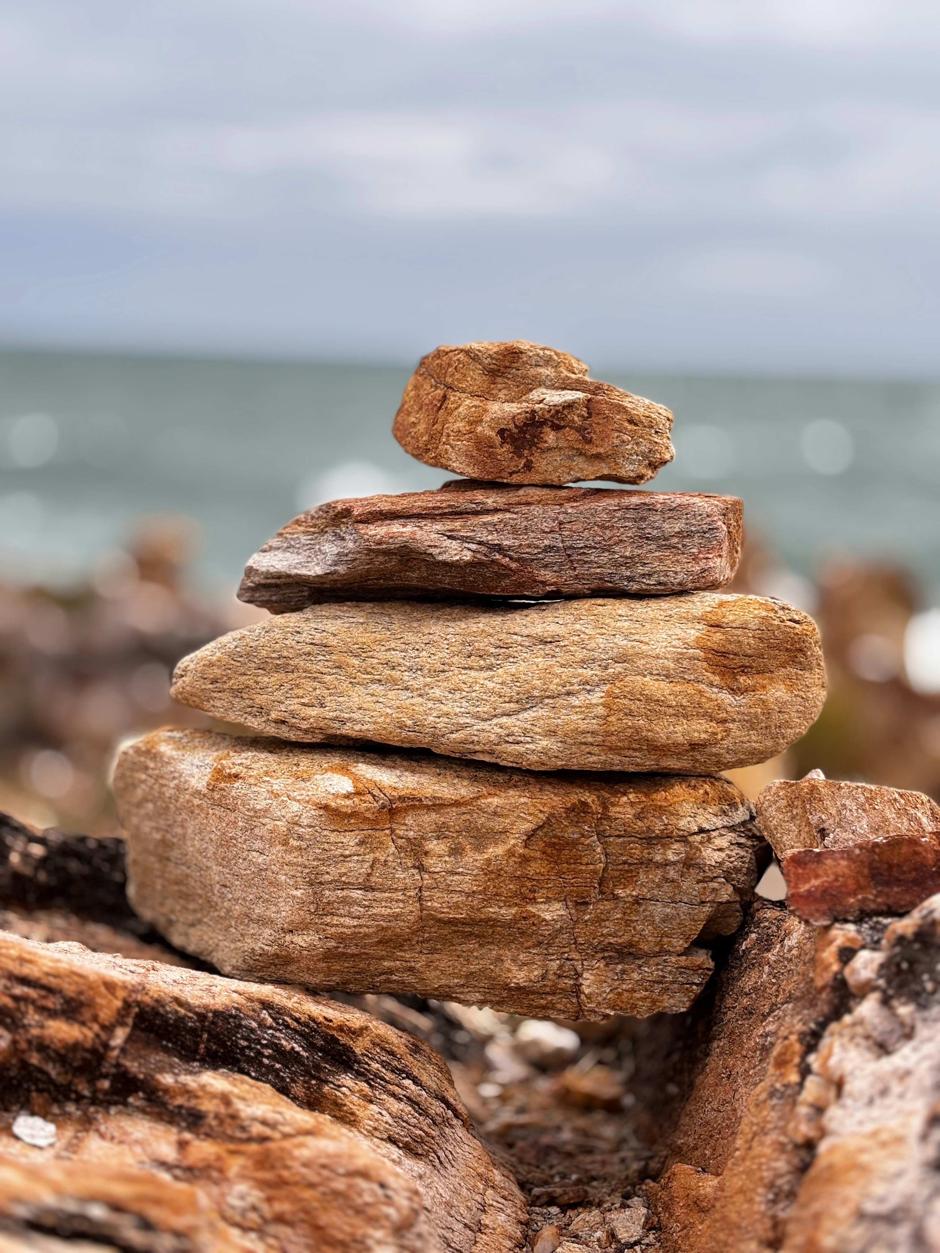 Nature's Balanced Sculpture