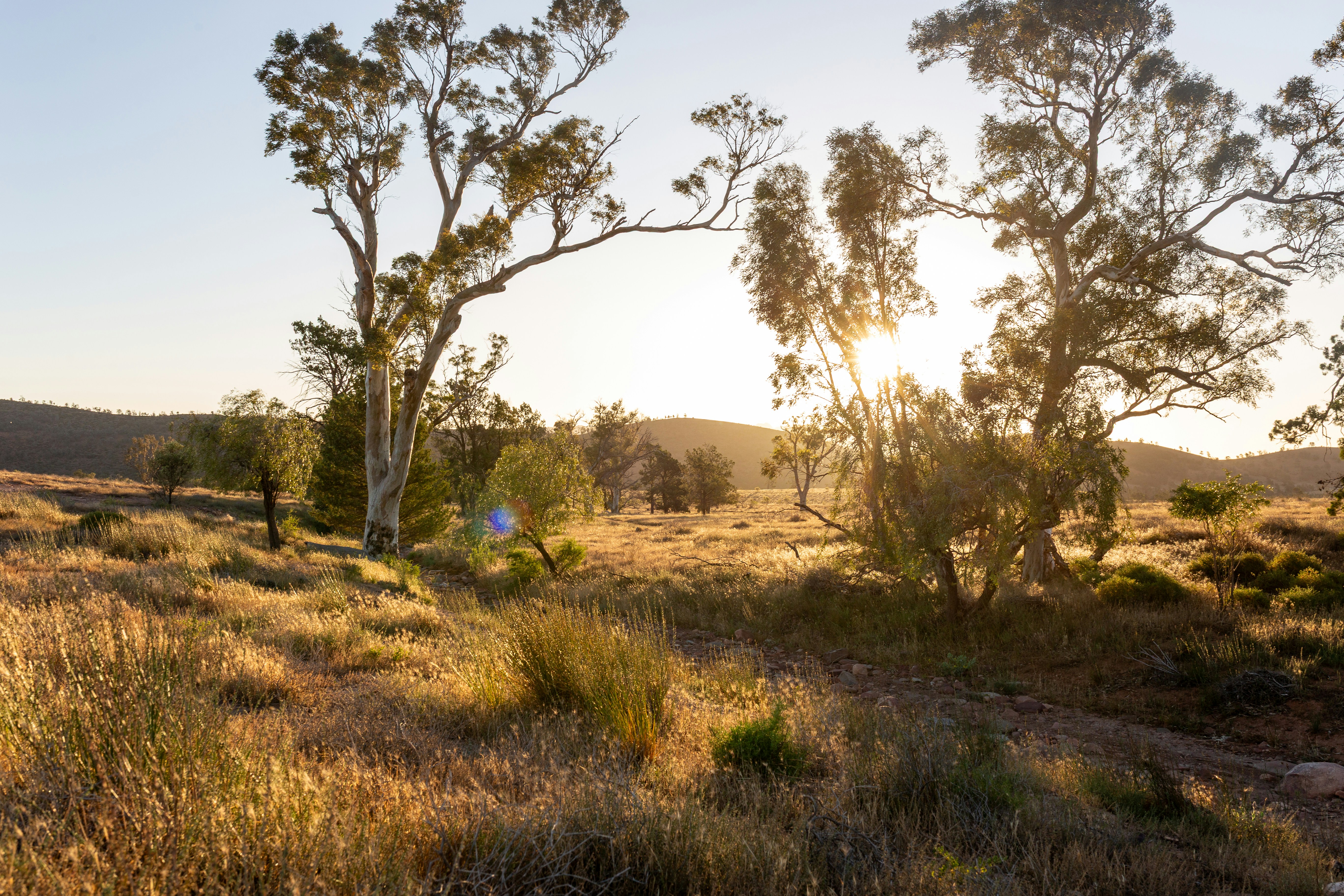 Photo by James R with Canon EOS 6D