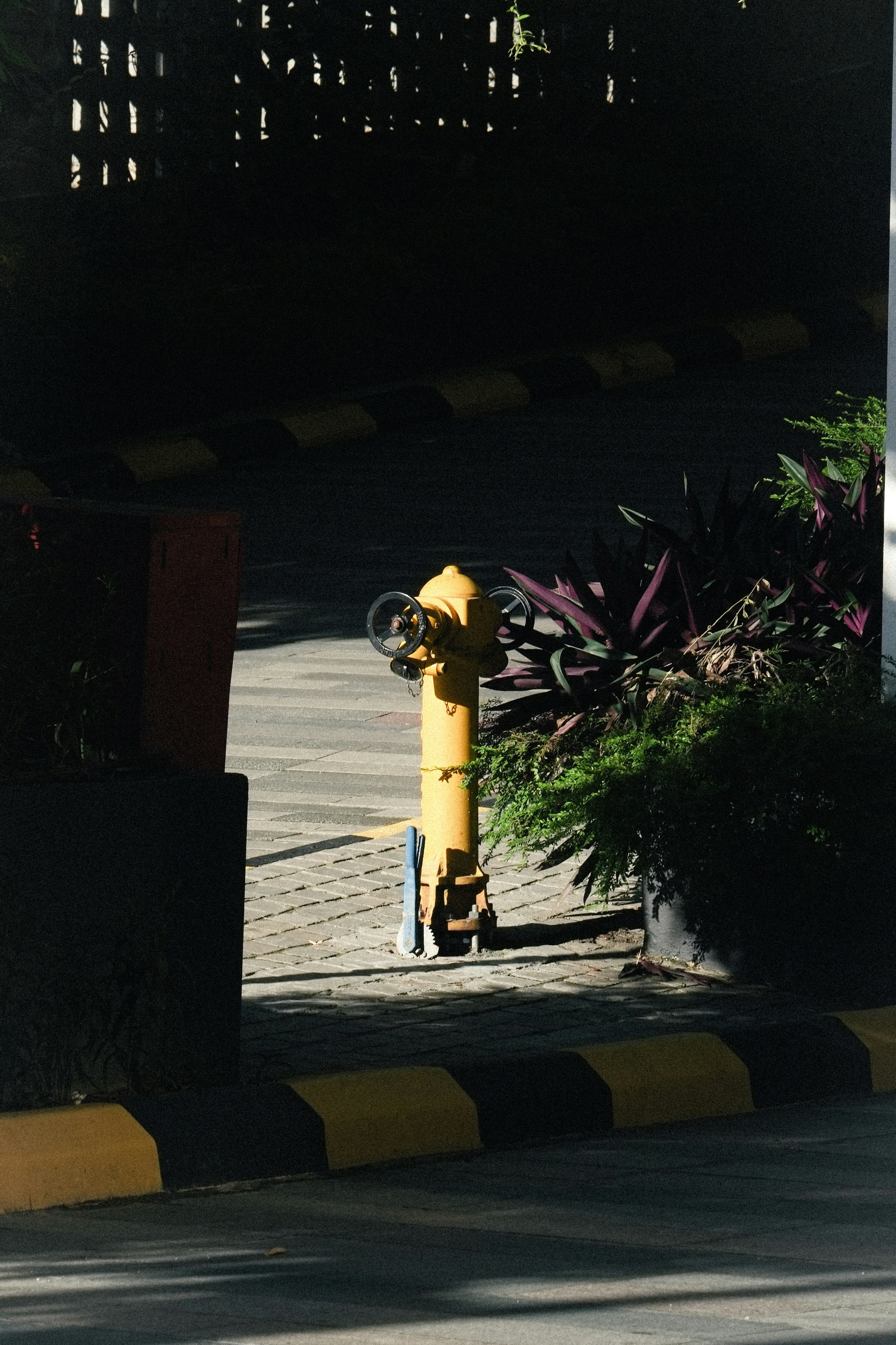 Urban Sentinel: The Watchful Fire Hydrant