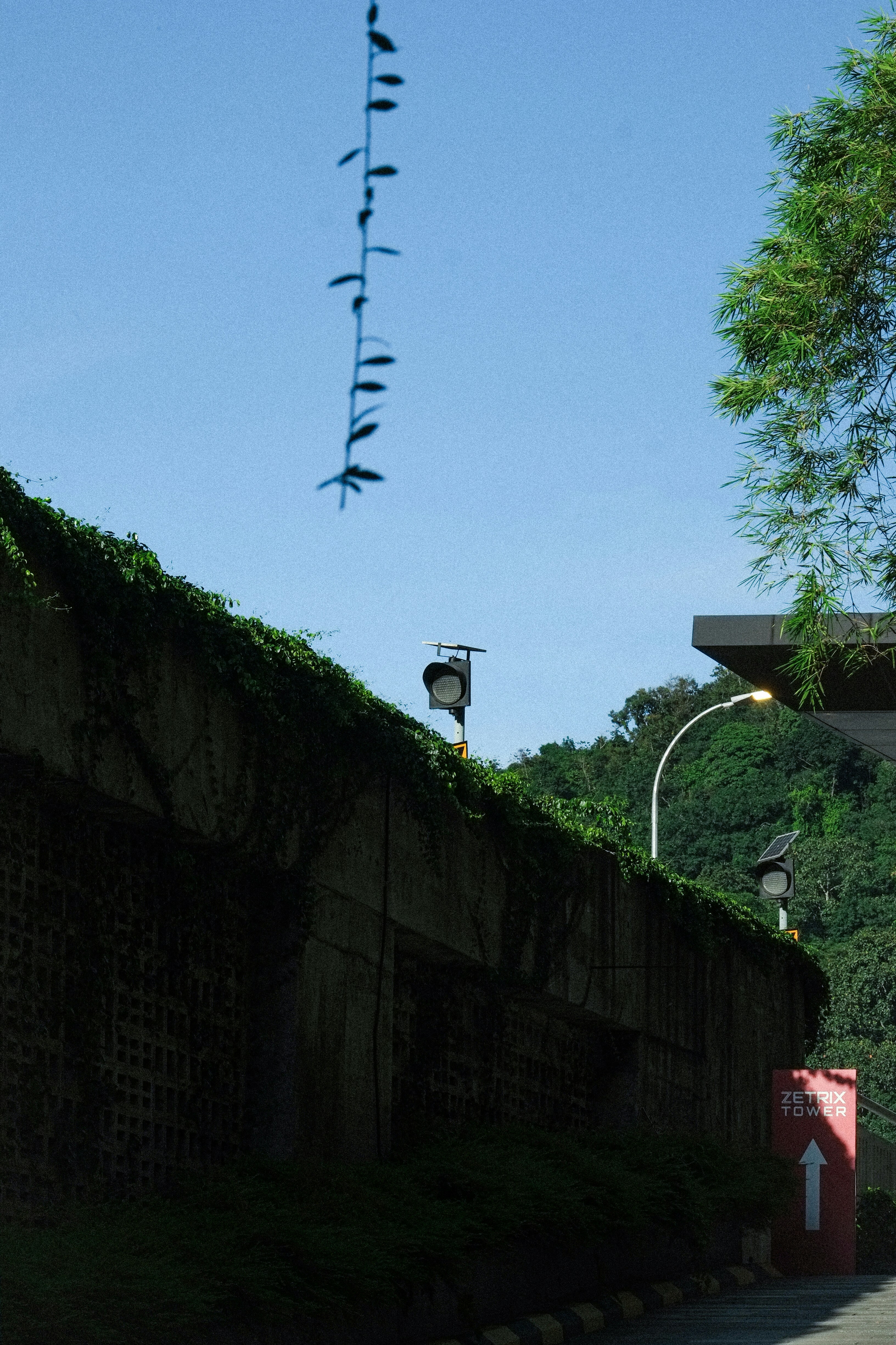 Urban Oasis: Nature Meets Infrastructure