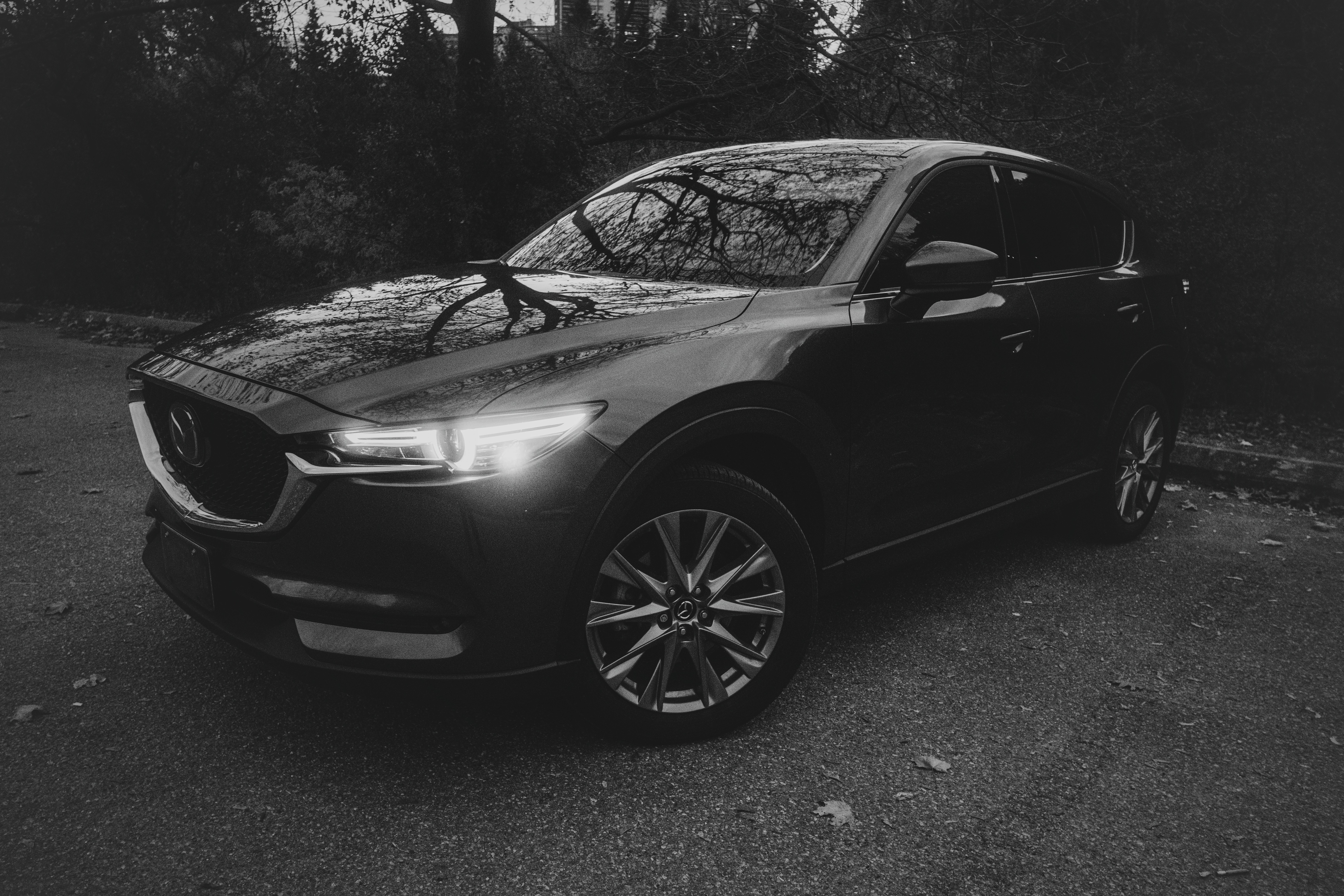 Midnight Matte: a sleek Mazda SUV resting on a damp forest road